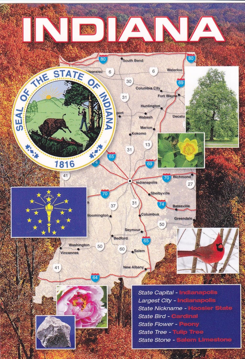 Amazon.com : STATES1IND - THE STATE OF INDIANA POST CARD MAP ; State ...