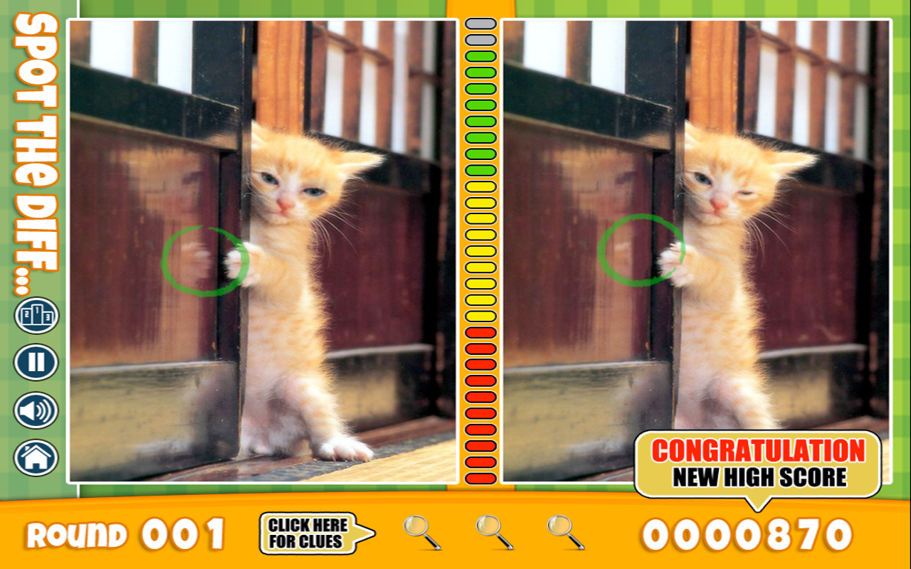 Spot The Difference Cat & Kitten Pics - App on Amazon Appstore