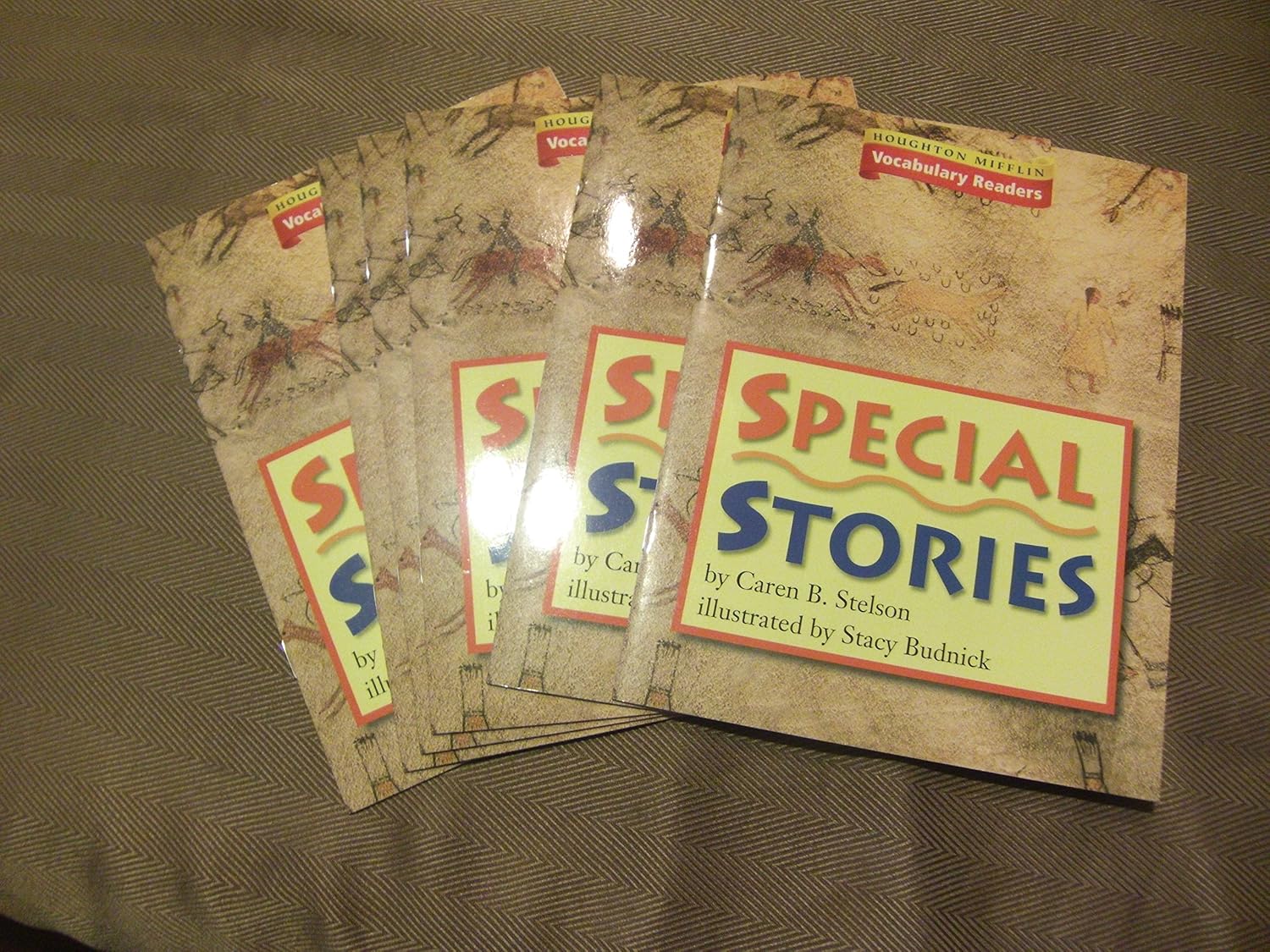 Special Stories, Level 3 Theme 2.3: Houghton Mifflin Vocabulary Readers: Read: 9780618648719 ...