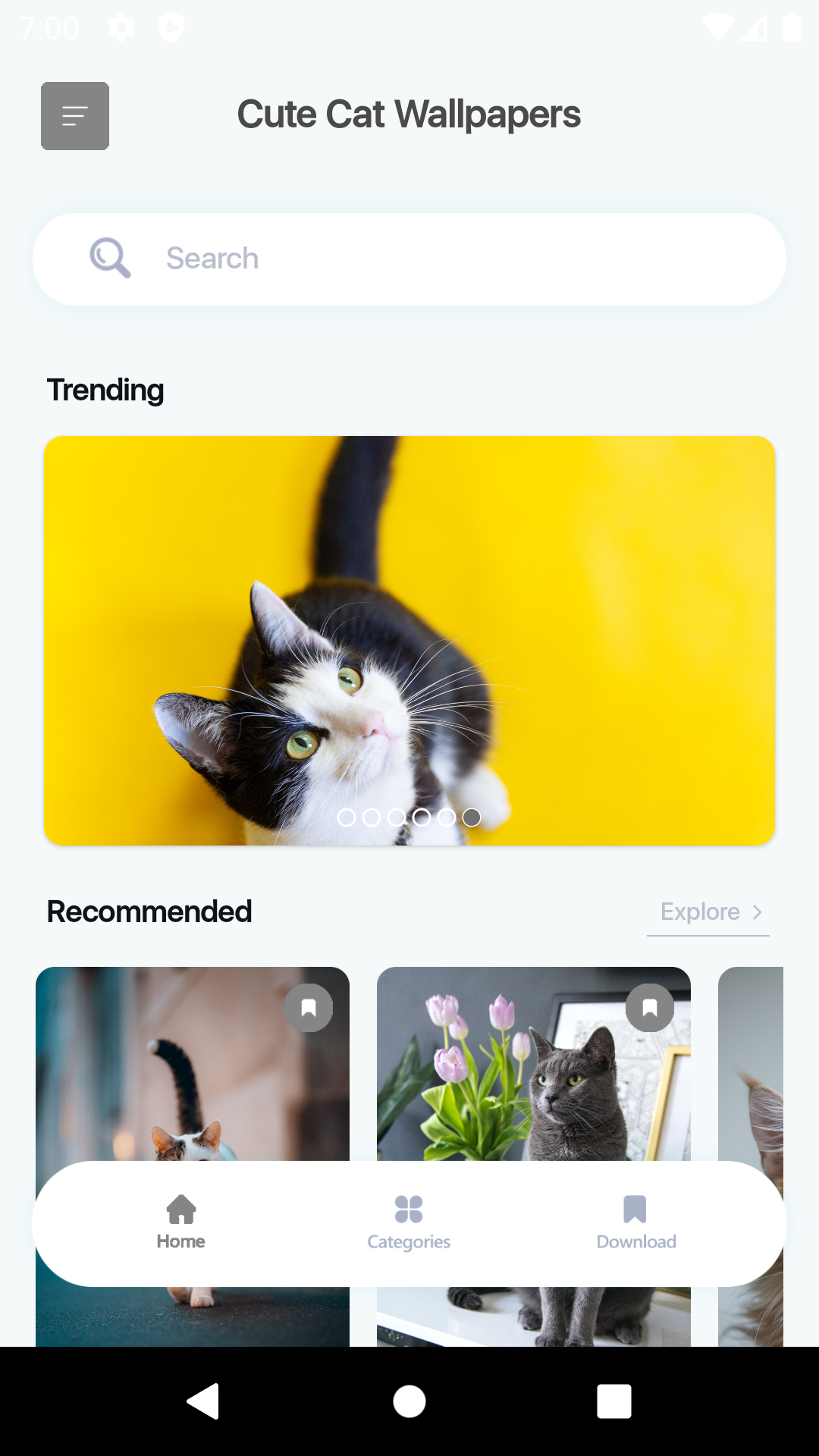 Cute Cat Wallpapers - App on Amazon Appstore