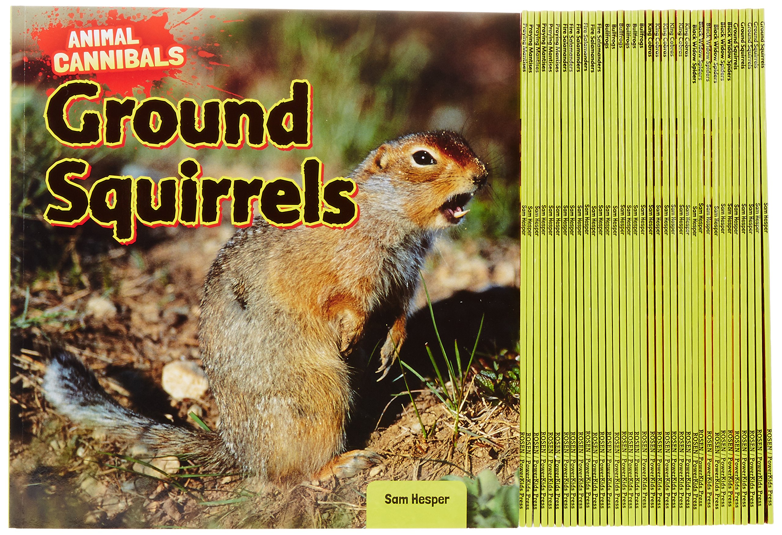 Are Prairie Dogs Cannibals