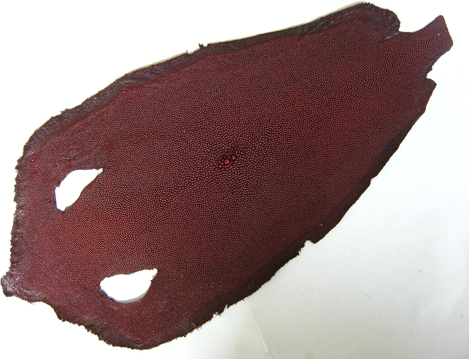 Amazon.com: handmade red genuine stingray skin leather Hide Pelt size ...