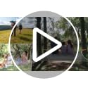 Amazon.com : Triangle Hammock 13Ft Multi Person 3 Point Tree Hammock ...