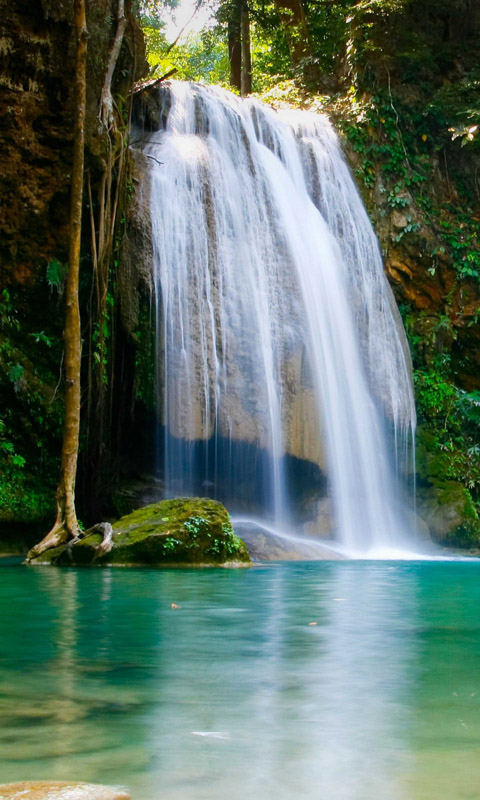 Live Wallpapers HD / Live Wallpaper 4K:Amazon.in:Appstore for Android