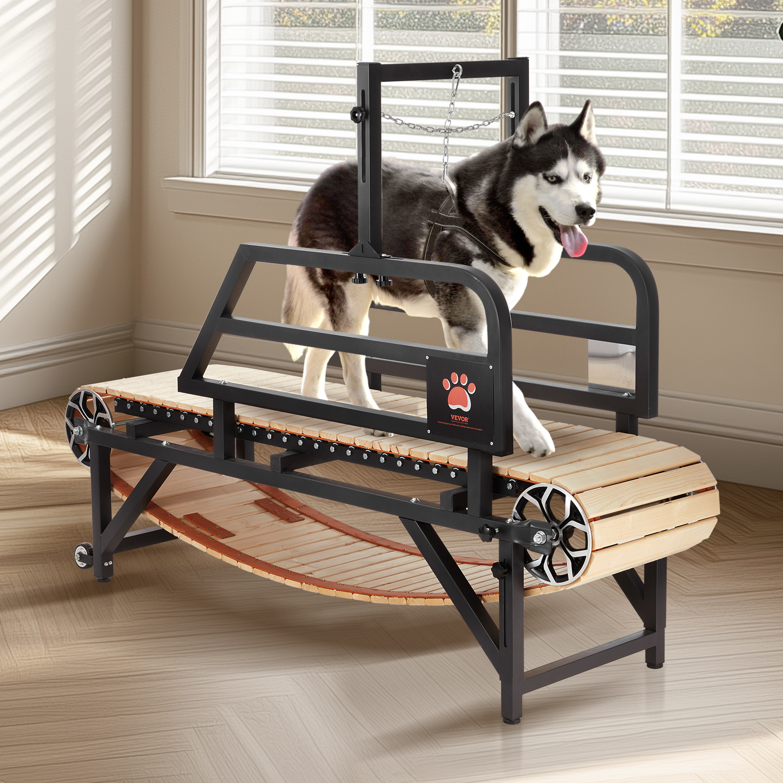 Pet Pacer Treadmill For Small Dogs Dog Treadmill For Small To Medium ...