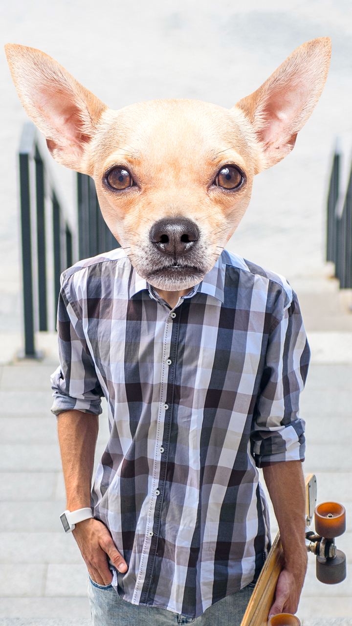 Dog Face Photoshop How To Use Photoshop To Edit Your Pet Photos