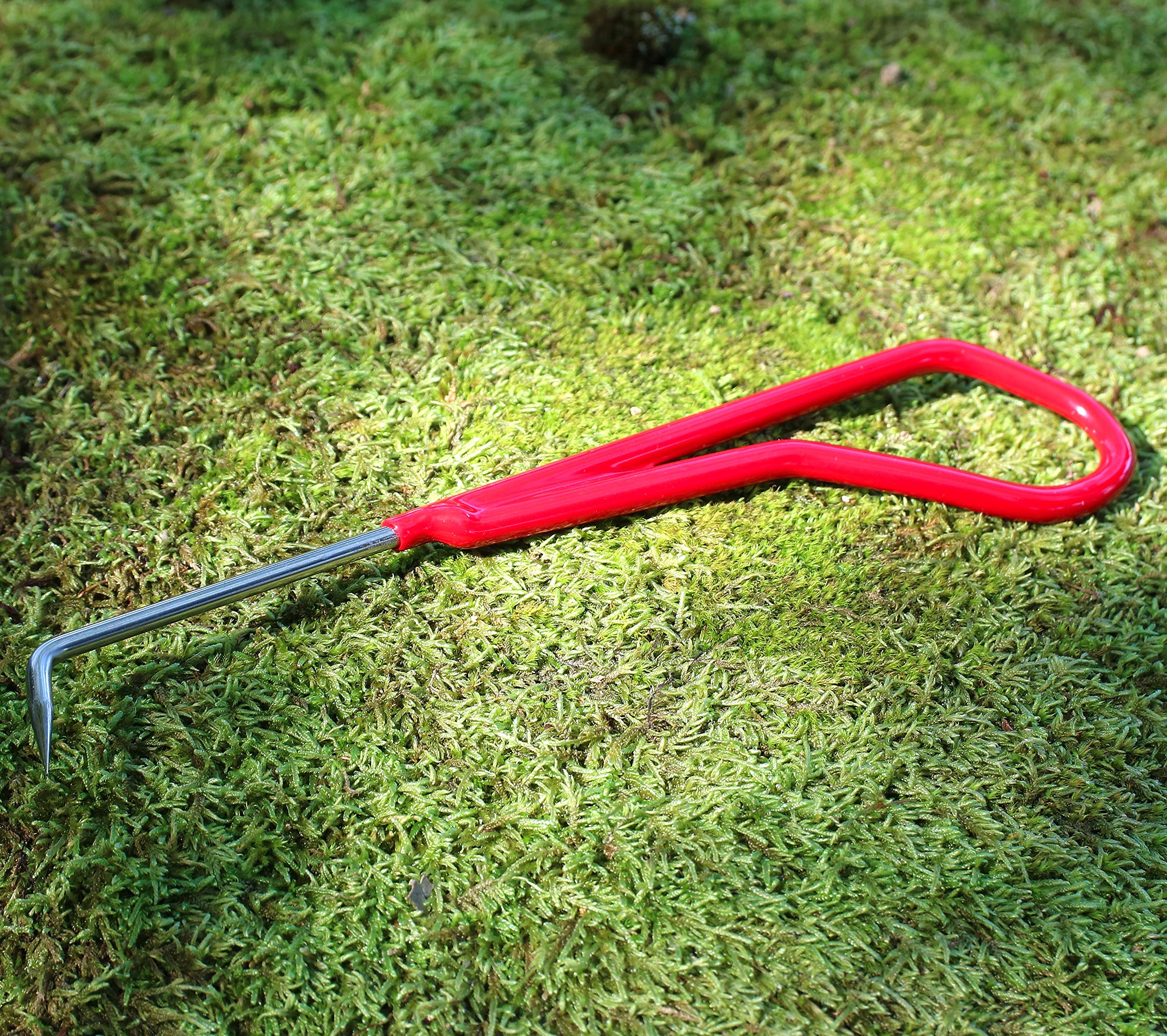 Snapklik.com : Bonsai Root Hook, 8.6" Professional Bonsai Root Pick ...