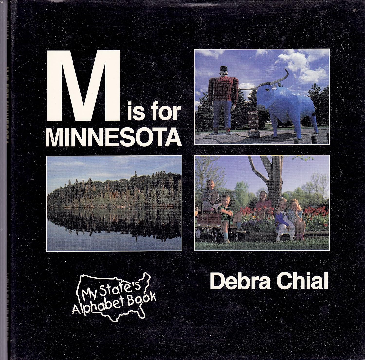 M Is for Minnesota (My State's Alphabet Book): Chial, Debra, Anderson ...