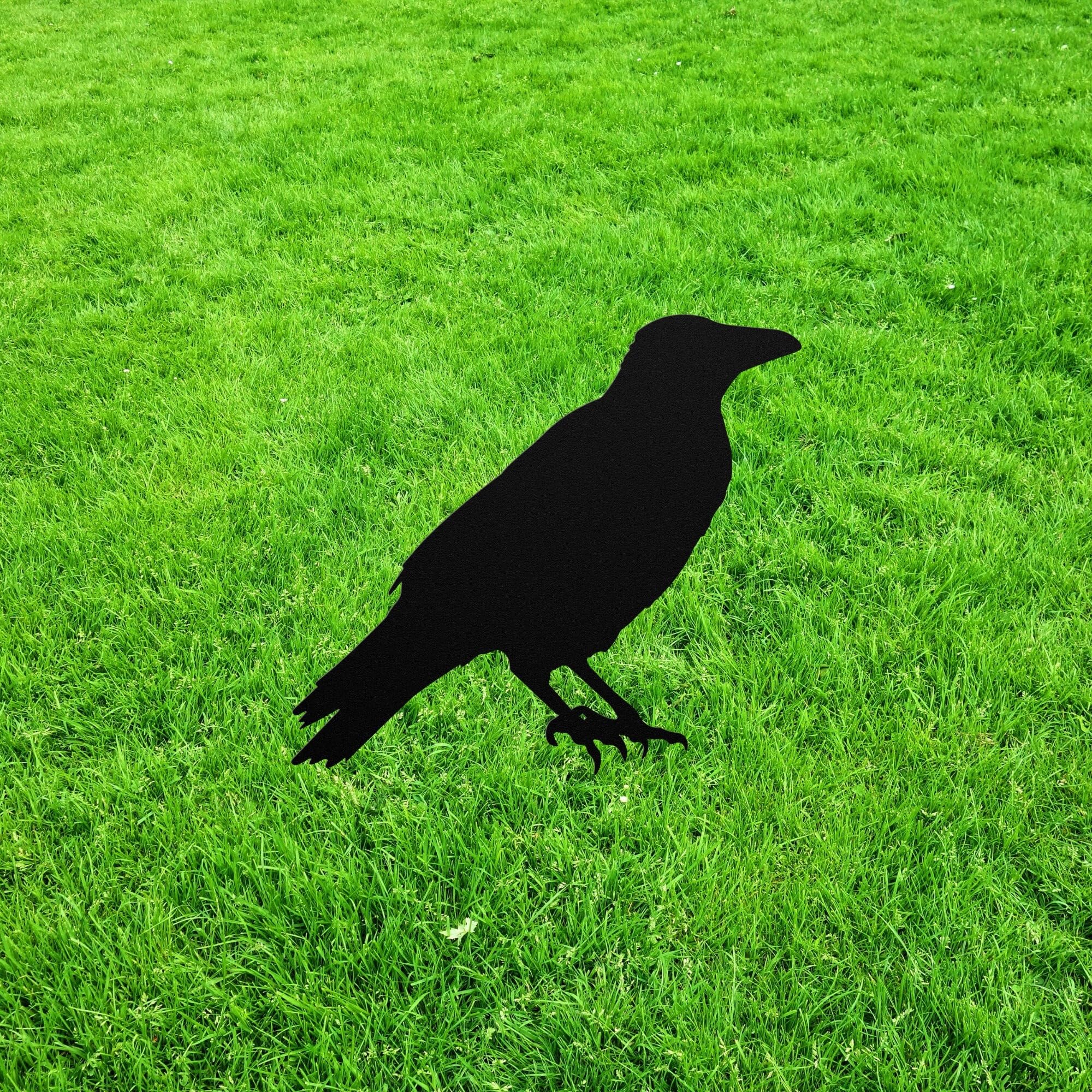 Amazon.com: TiTaicor Raven Crow Yard Art Statue Stake Black Bird Metal ...