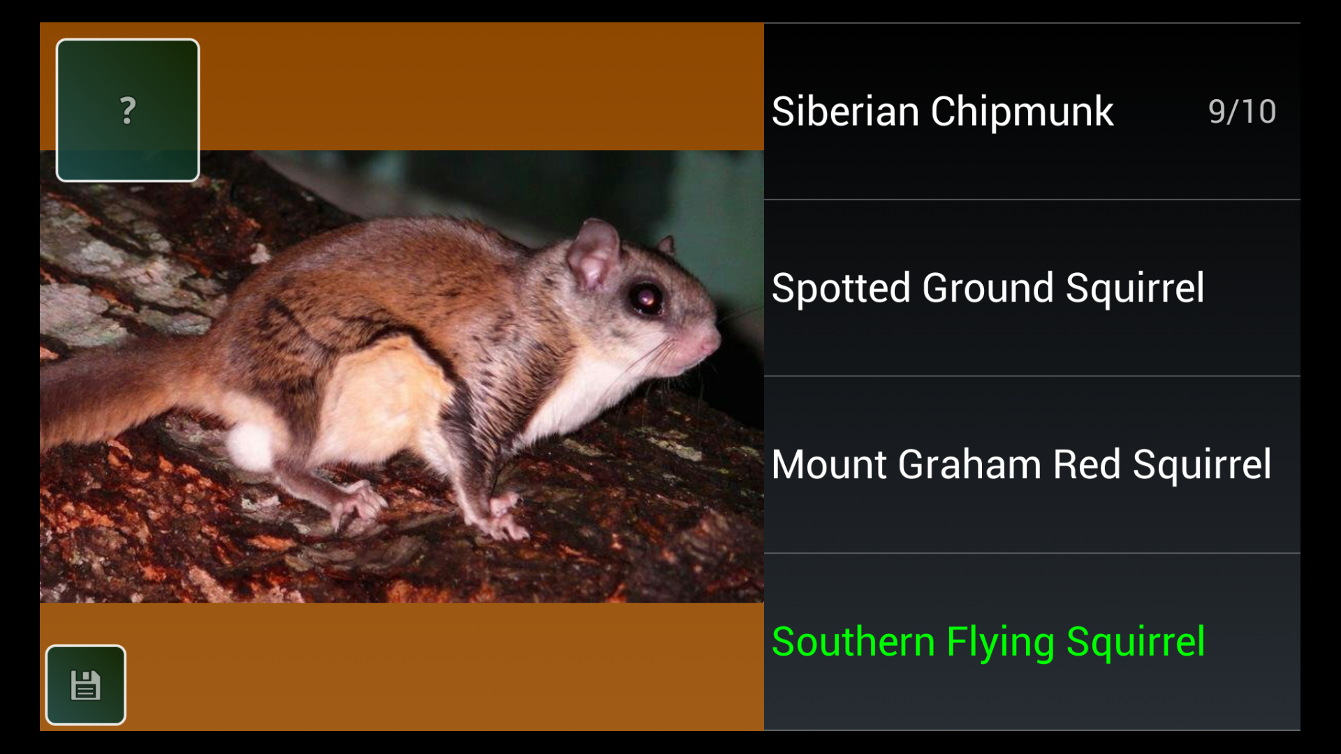 Rodent Species Trivia Quiz - App on Amazon Appstore