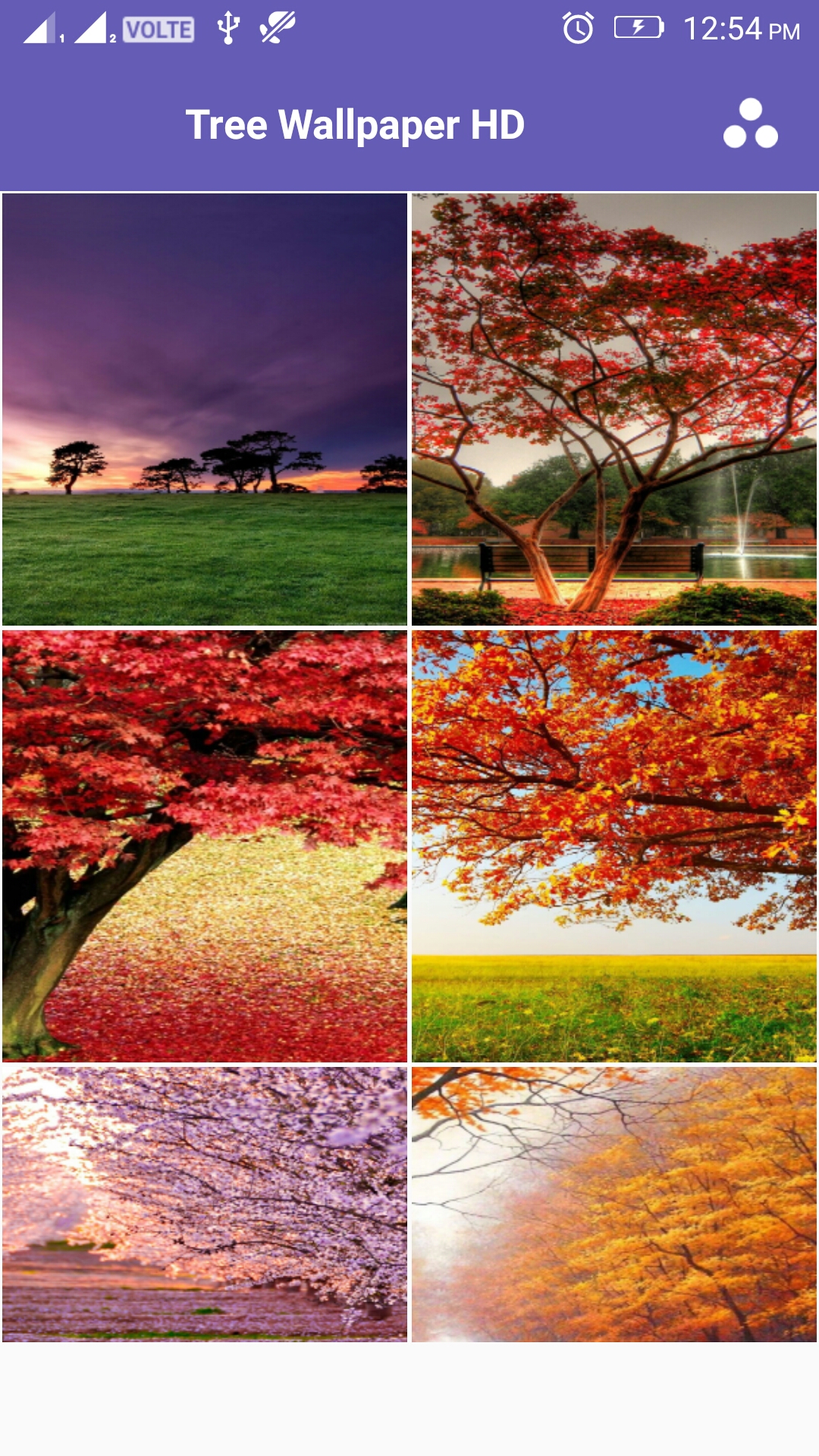 Tree 4K Wallpaper - App on Amazon Appstore