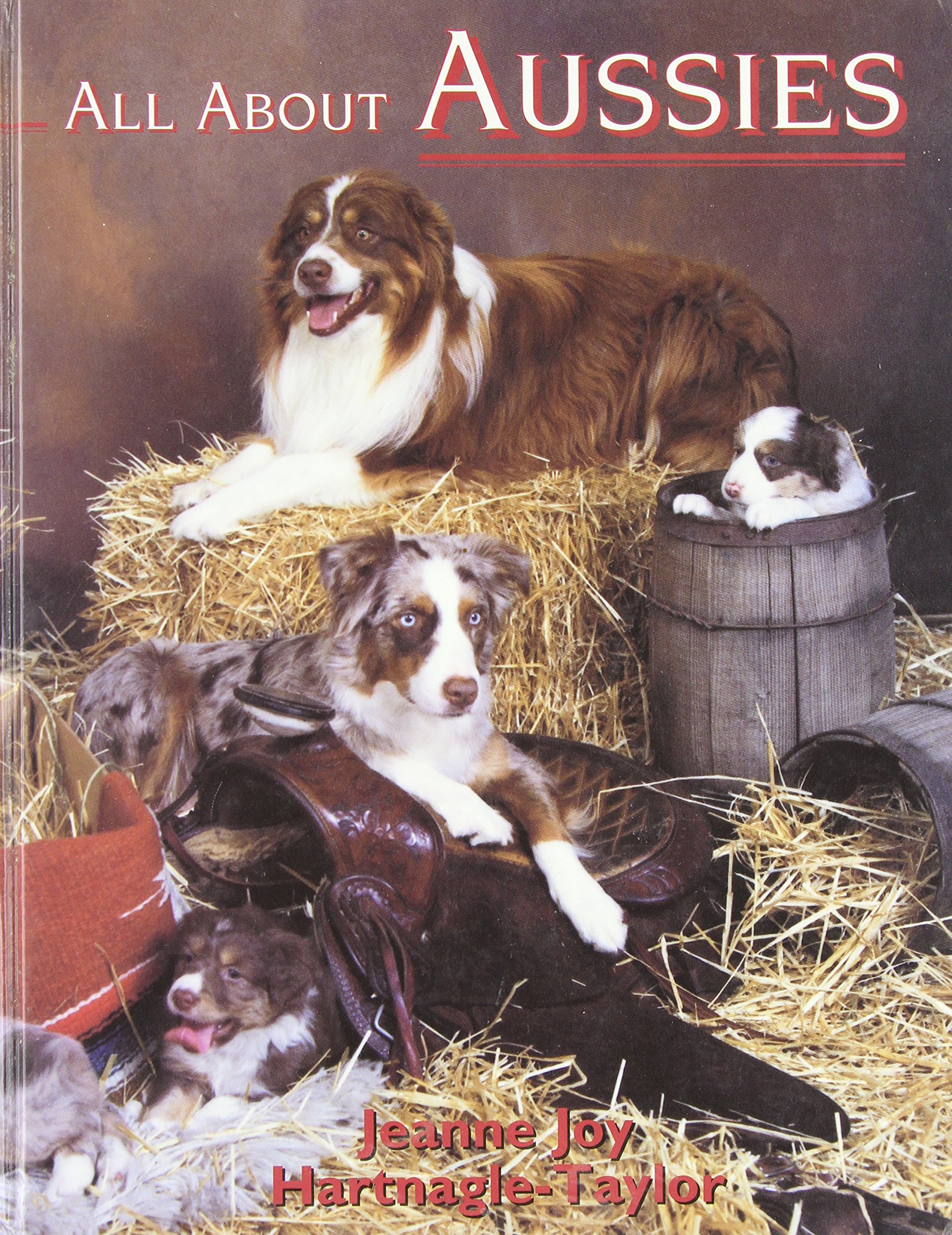All About Aussies : The Australian Shepherd from A to Z: Jeanne Joy ...