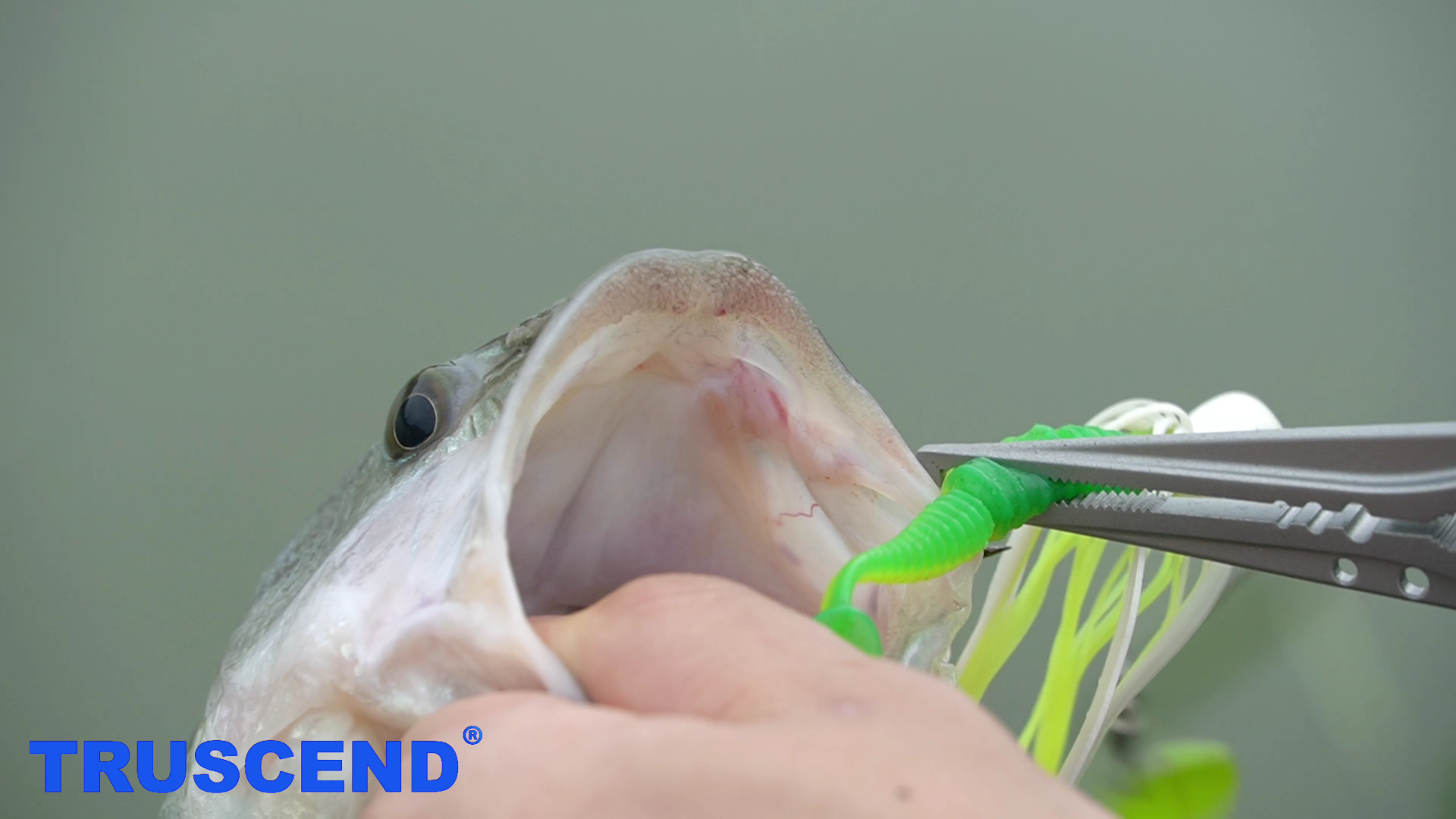 Watch TRUSCEND Fishing Pliers Saltwater, Fly Fishing Accessories on ...