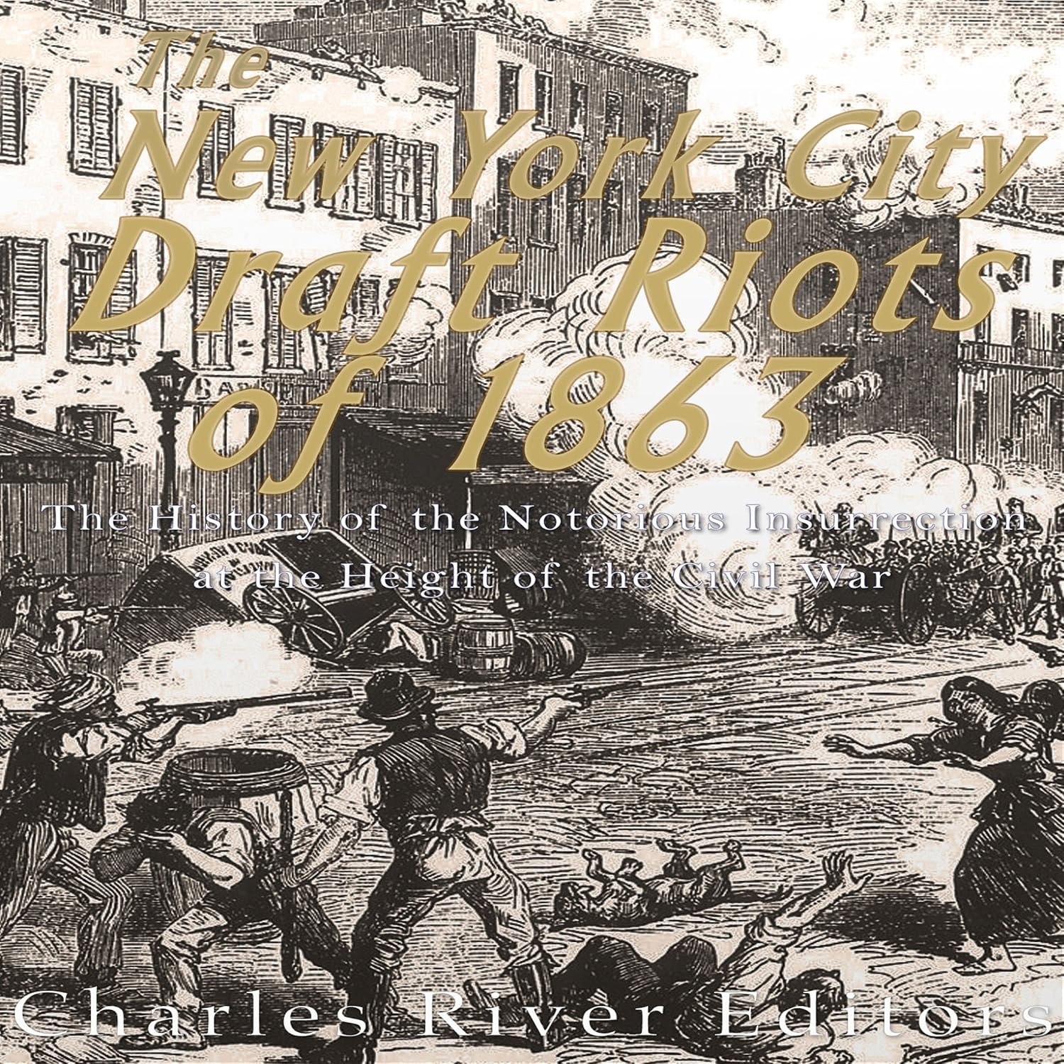 Amazon.com: The New York City Draft Riots of 1863: The History of the ...
