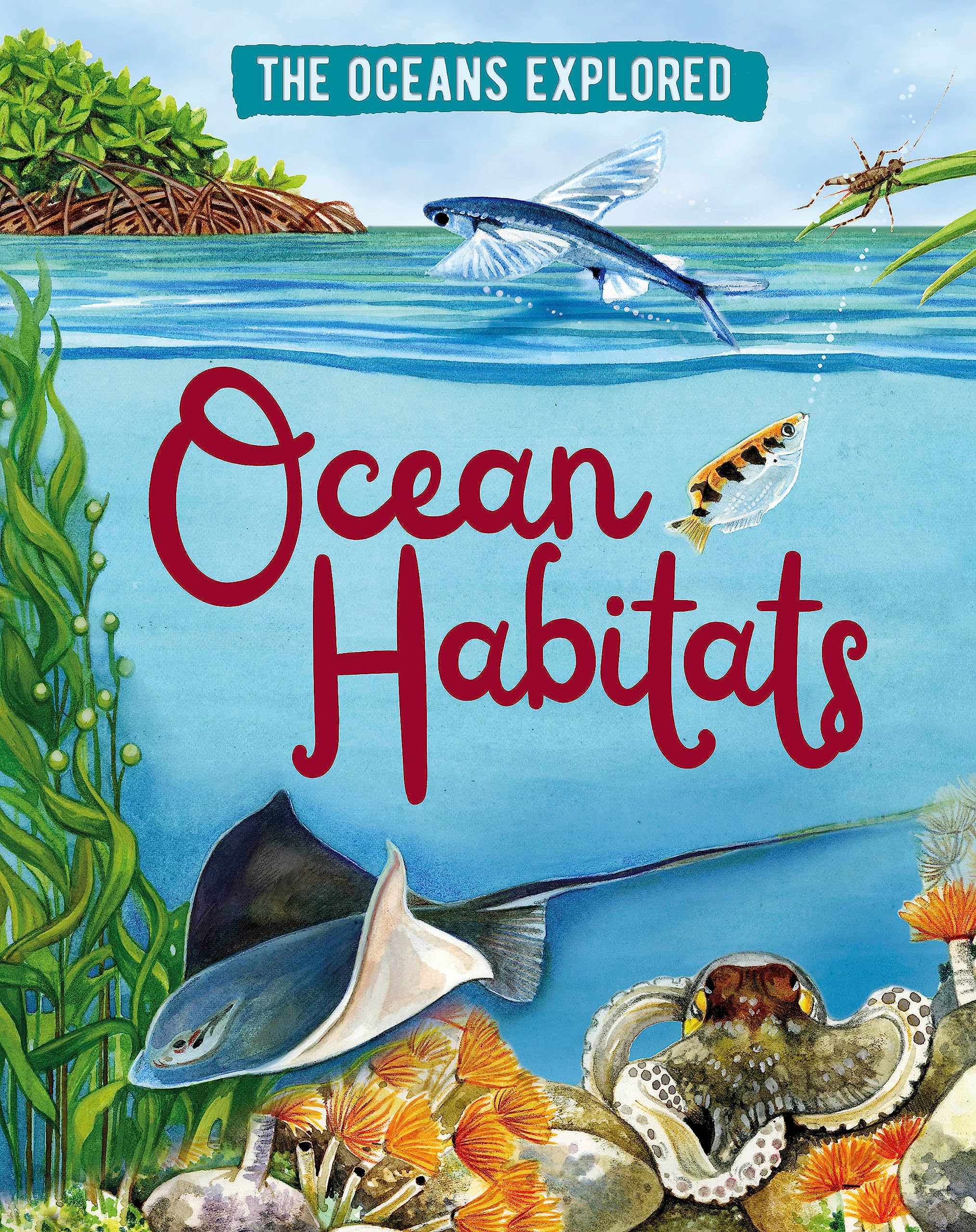 Ocean Habitats: Martin, Claudia: 9781526314383: Amazon.com: Books