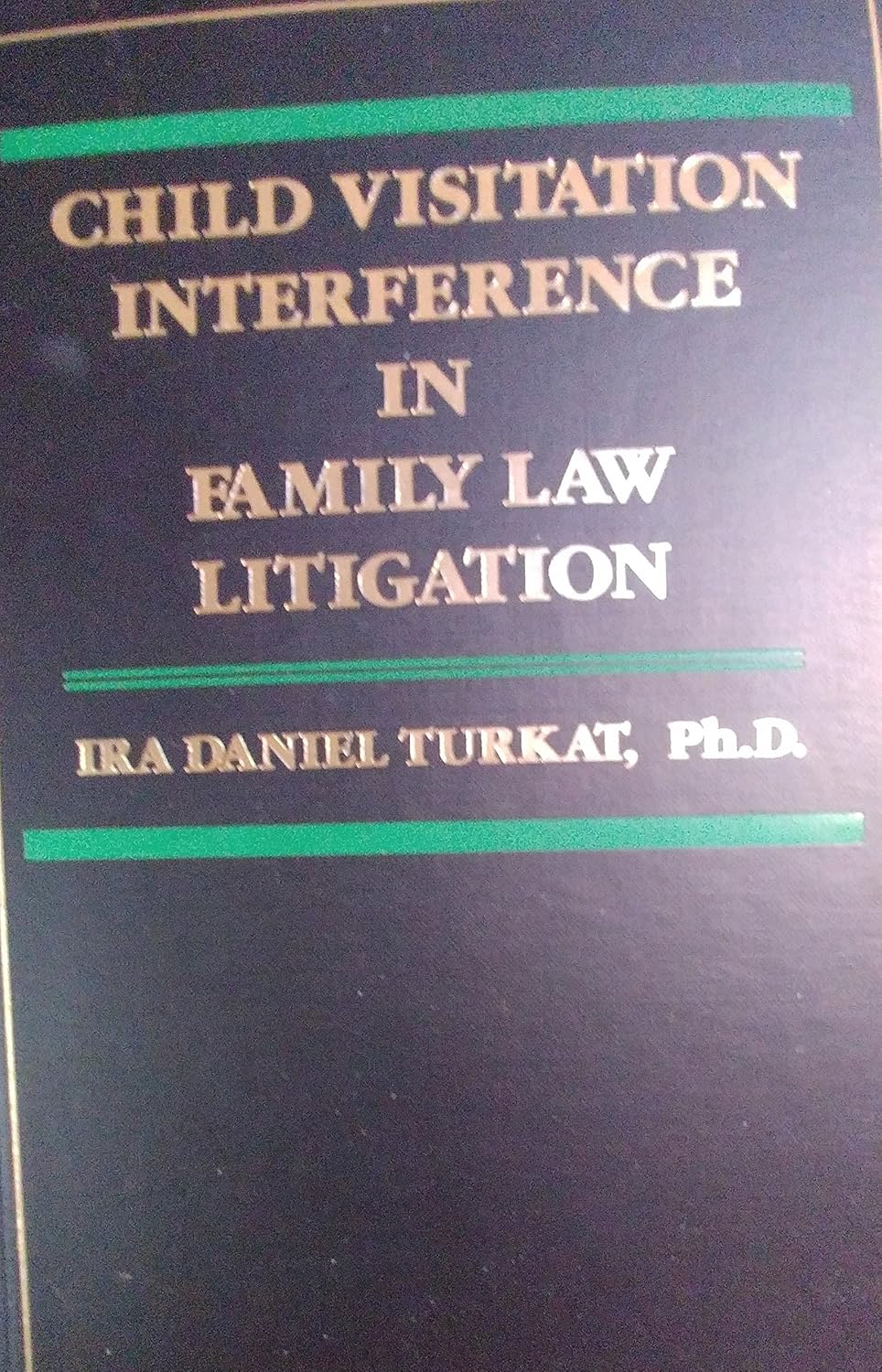 Child visitation interference in family law litigation: The handbook ...
