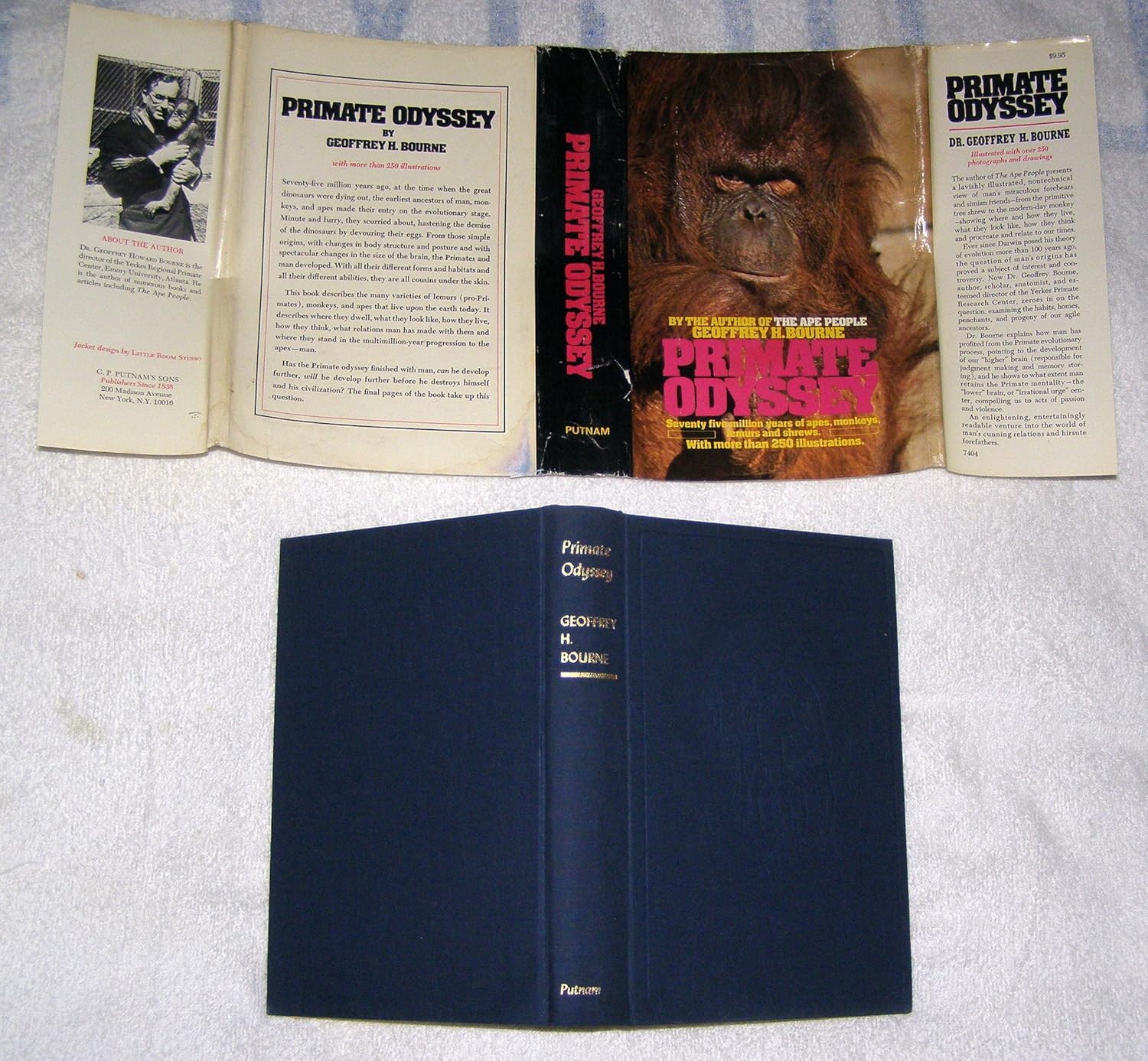 Primate odyssey: Bourne, Geoffrey H: 9780399112003: Amazon.com: Books