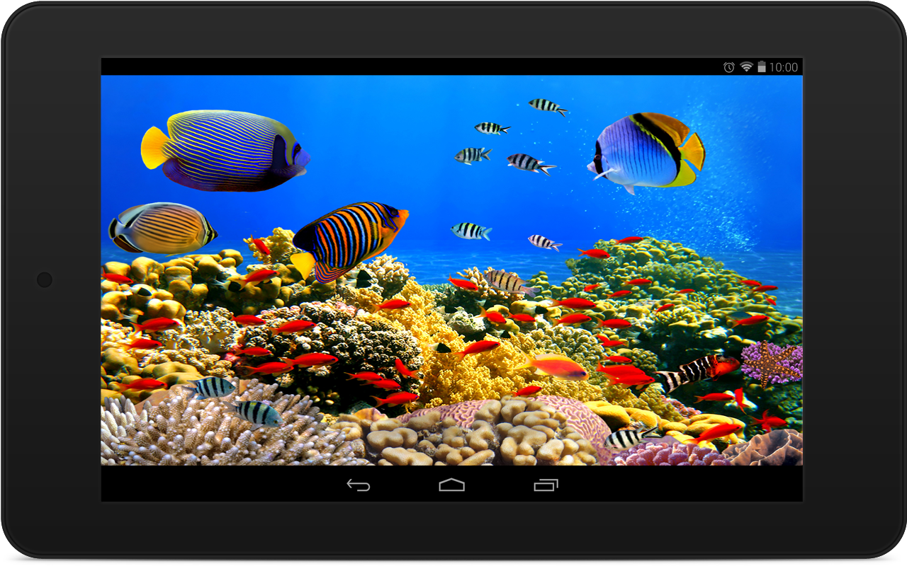 Underwater Wallpapers - App on Amazon Appstore