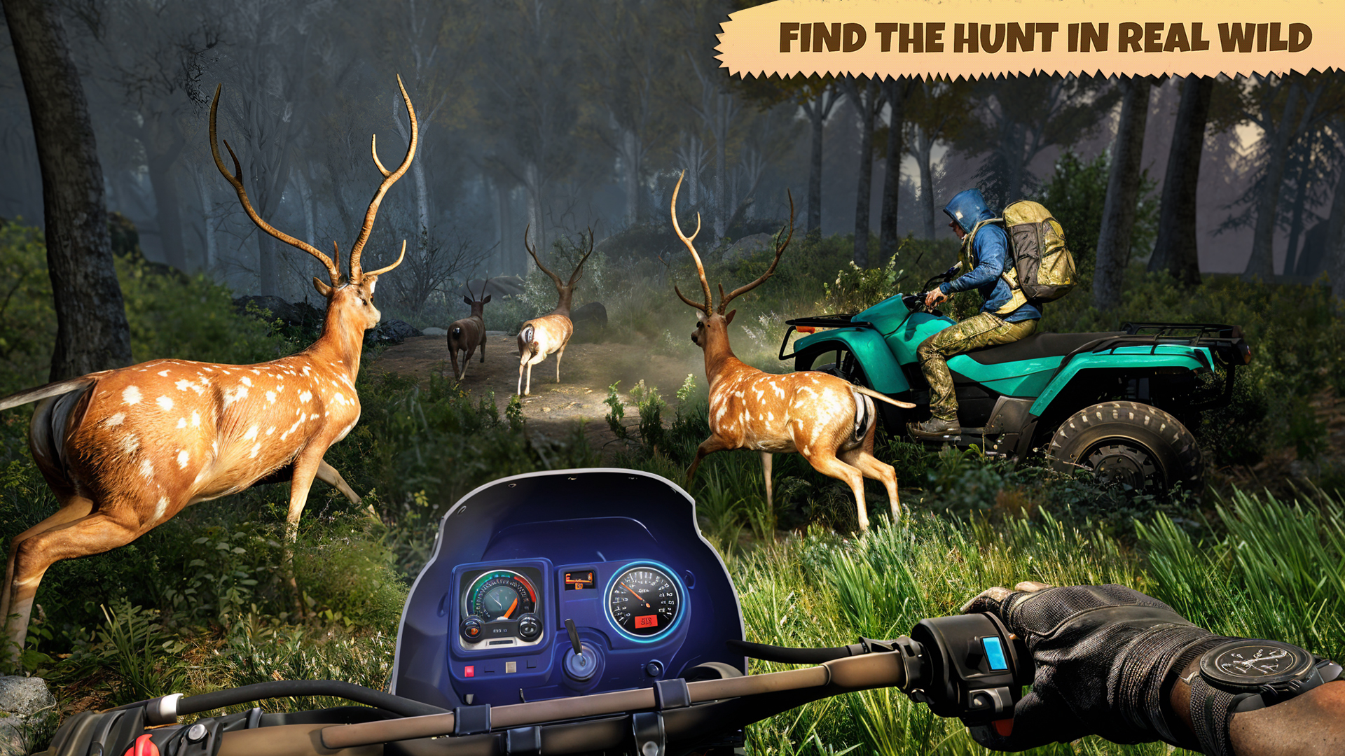 Wild Hunt New Animal Hunting Sniper Safari - Wild Shooting Games 2025 ...