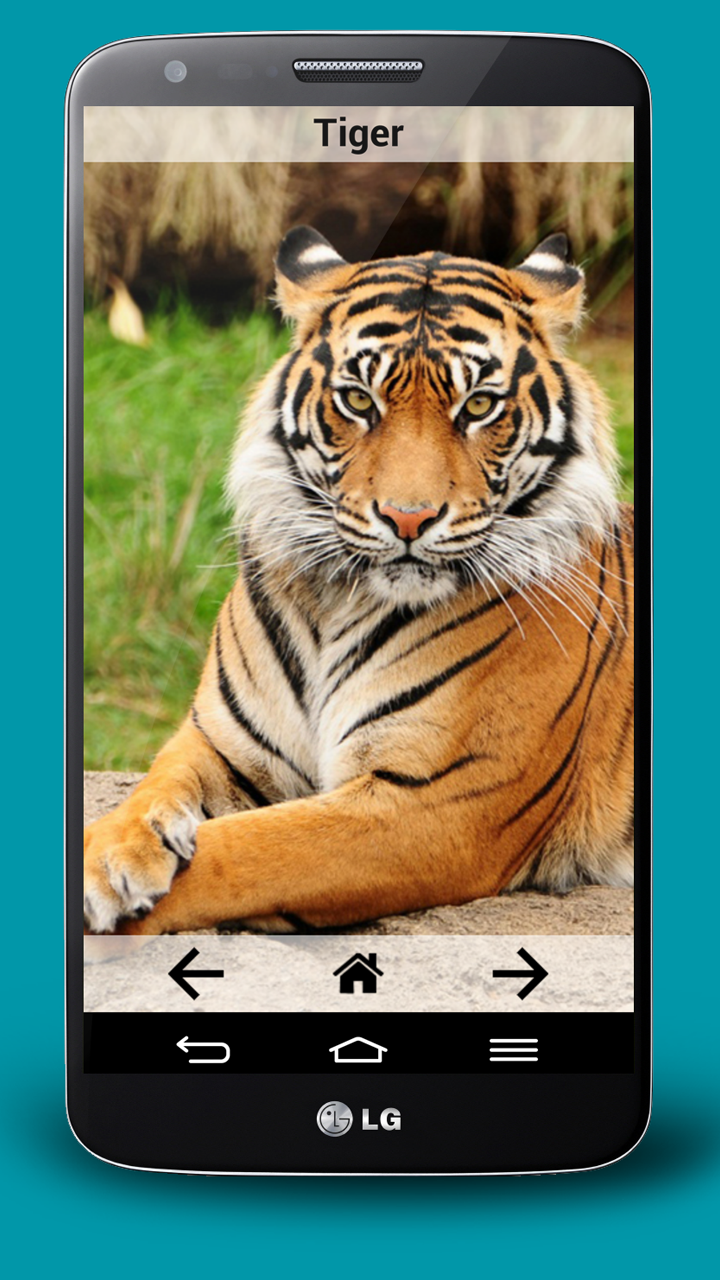 Animal Sounds - App on Amazon Appstore
