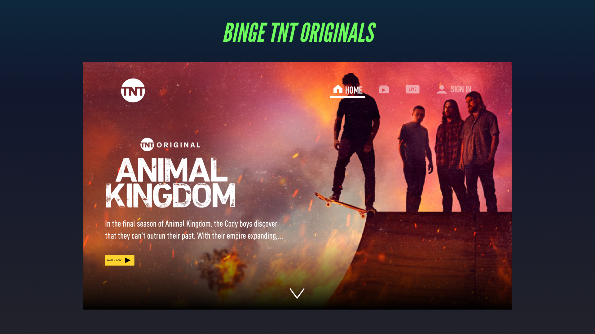 Watch TNT:Amazon.com:Appstore for Android