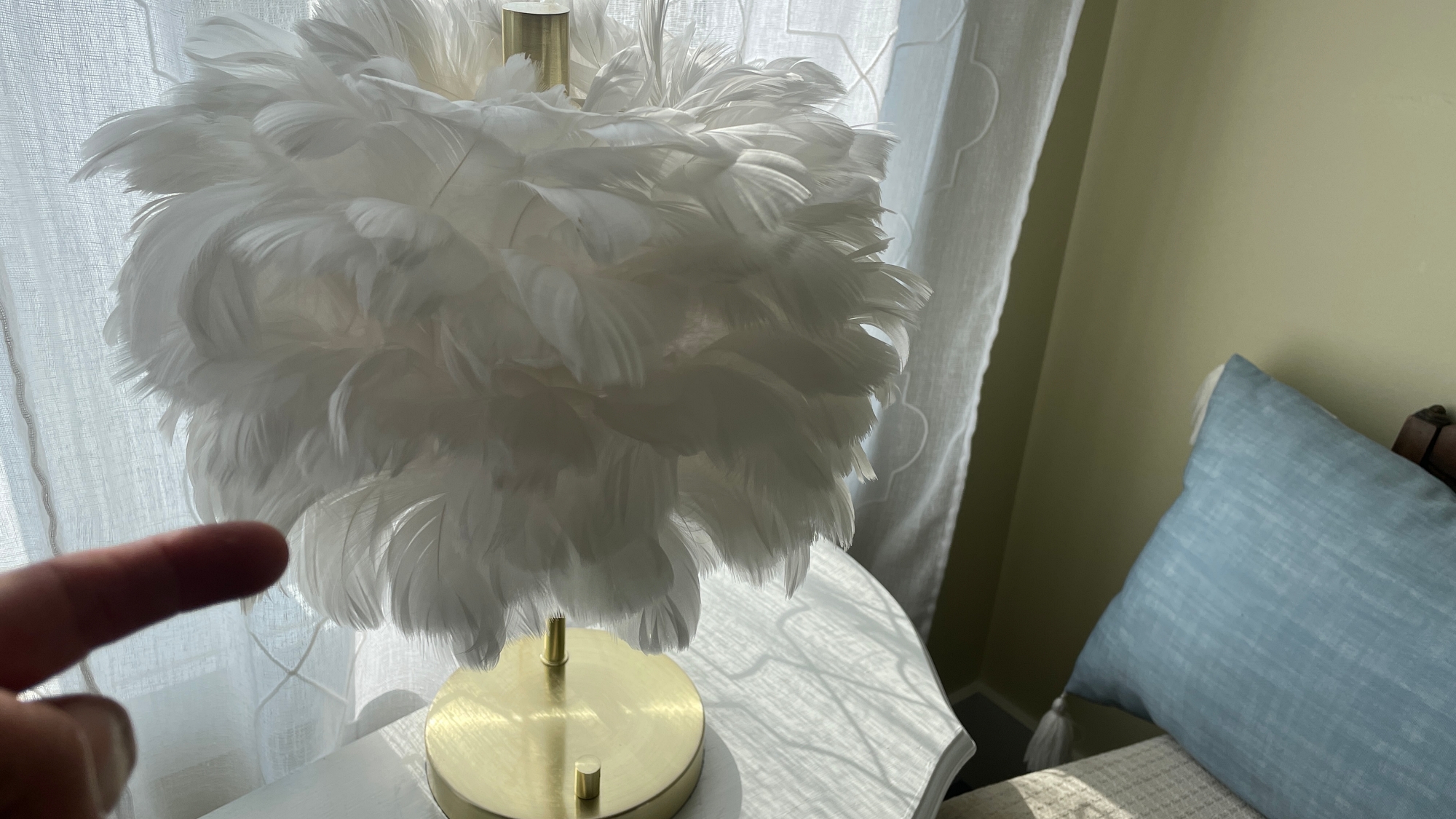 Watch Poofy Feather Lamp - AFTER 1 YEAR! on Amazon Live