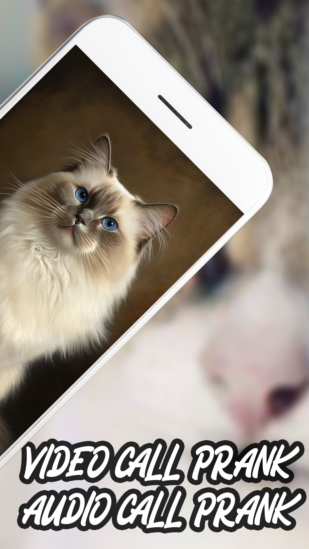 Cute Cat Video Call - Simulate call with Cute Cat - Prank Video Call ...