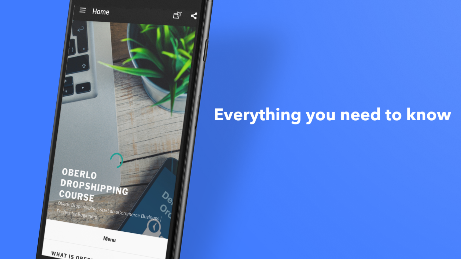 Guide For Oberlo & Dropshipping - Learn To Find The Best Products For ...