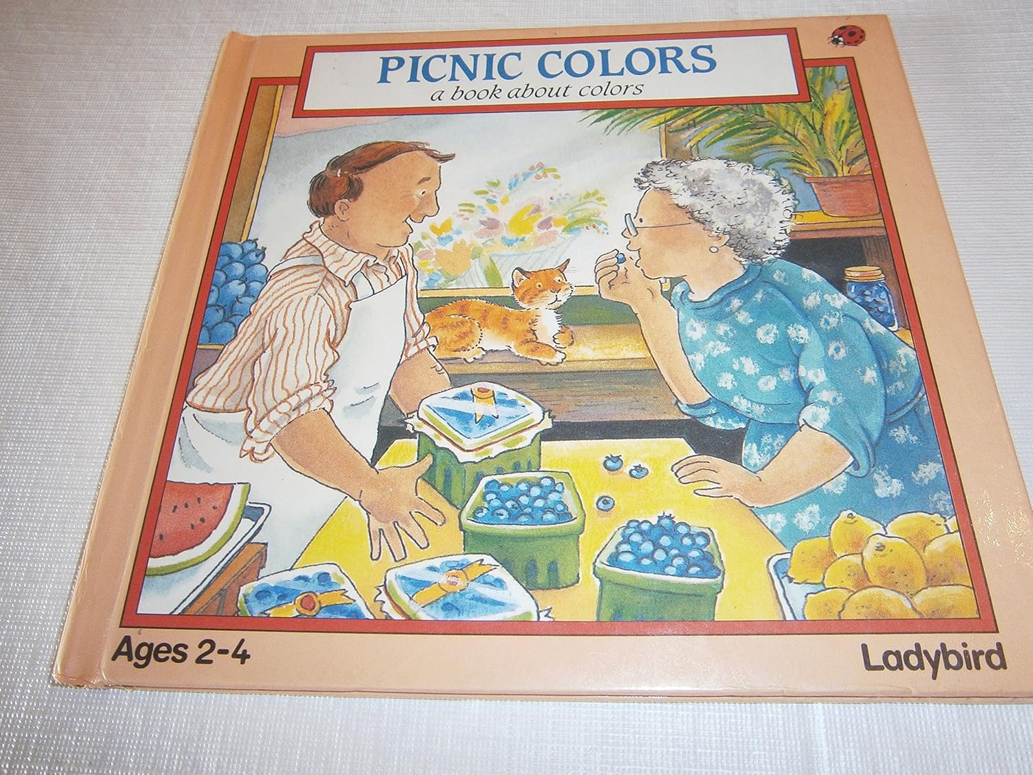 Picnic Colors: A Book About Colors (Toddler Books): Fernandes, Eugenie ...
