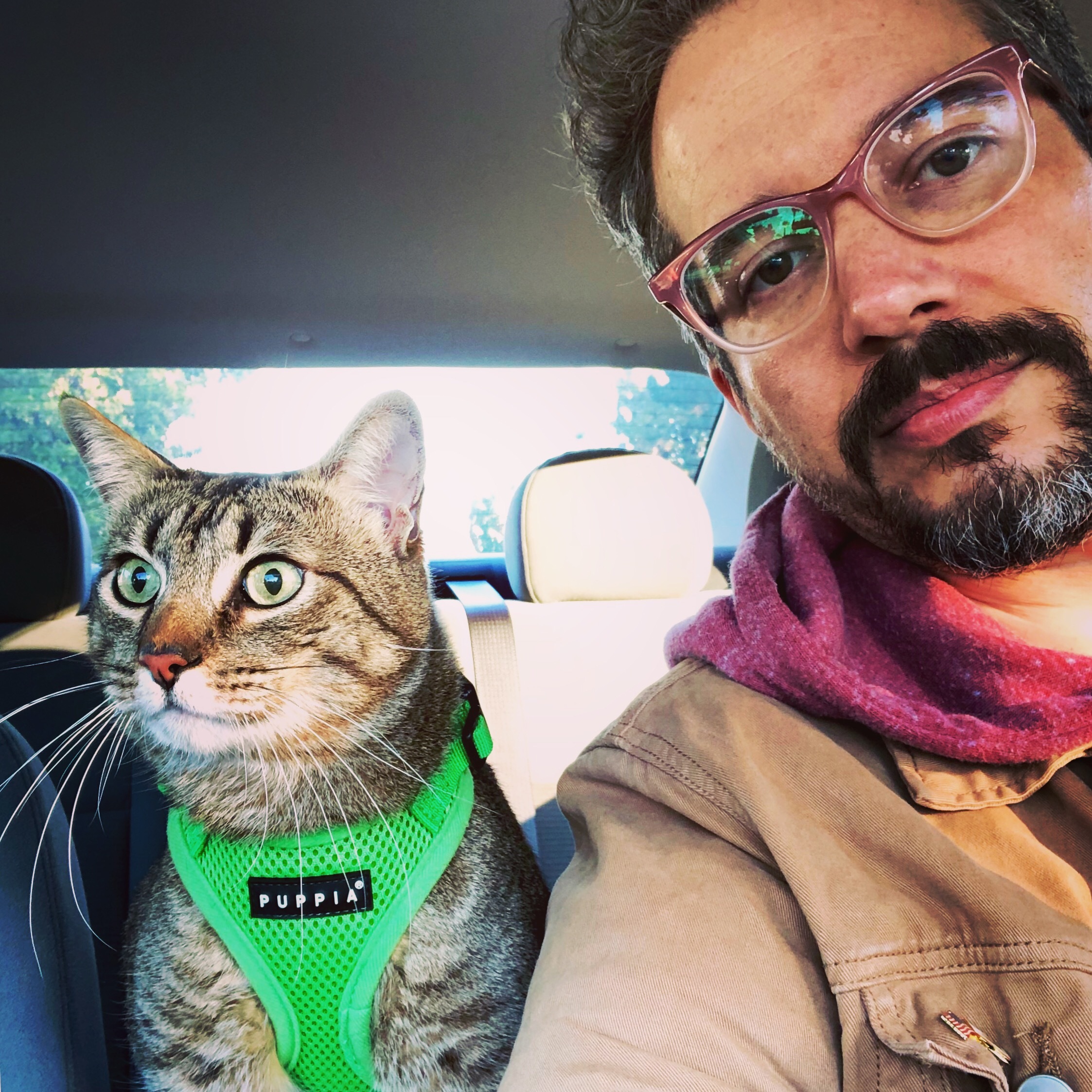 Amazon.it: Sam Humphries: books, biography, latest update