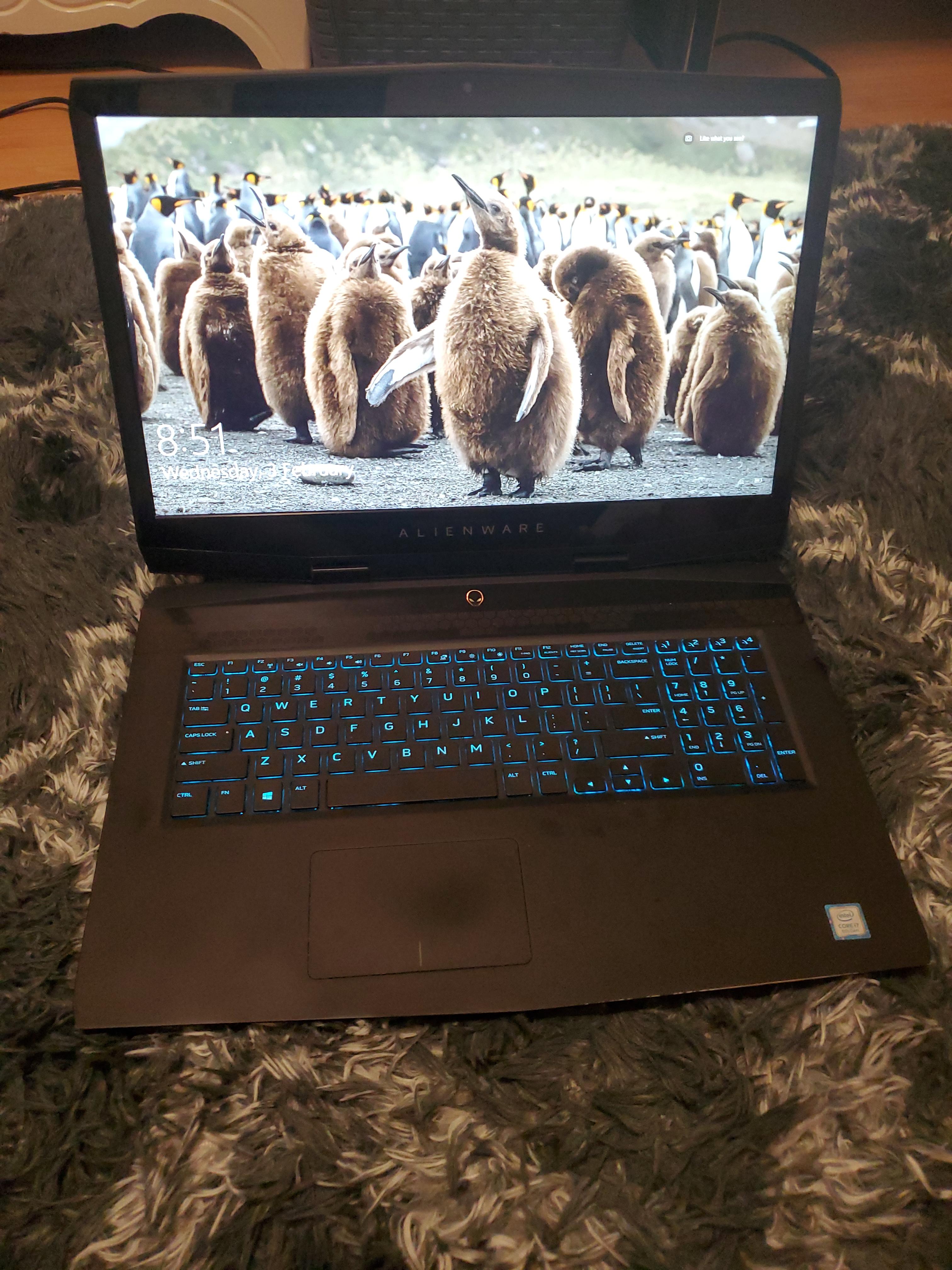 Amazon.in: Buy Dell Alienware m15 8th Gen Intel Core i7 8750H 15.6 ...