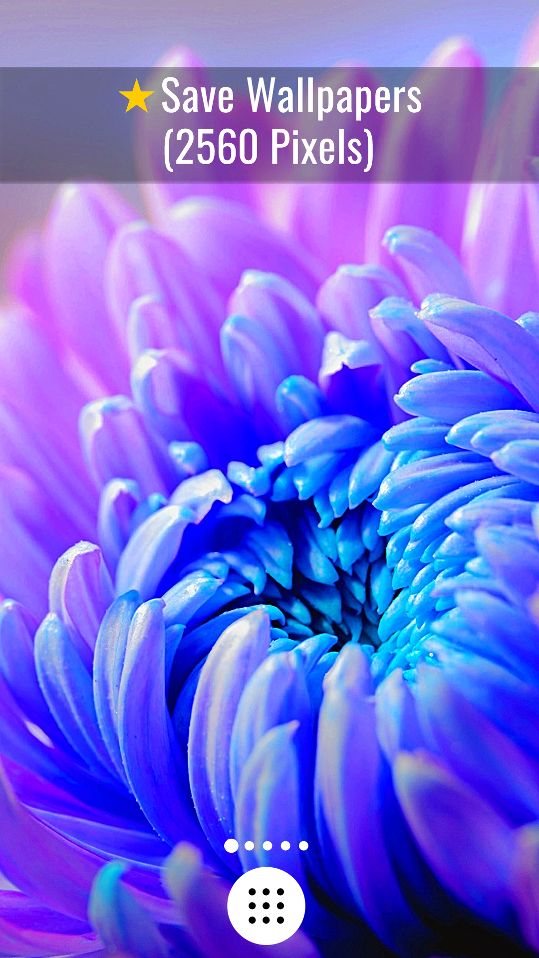 Macro Wallpapers - App on Amazon Appstore