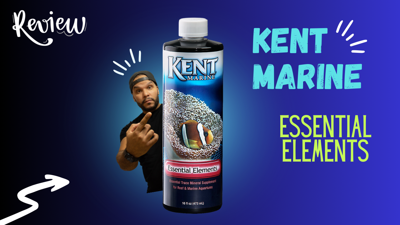 Watch Watch Before Buying Kent Marine Essential Elements !! on Amazon Live