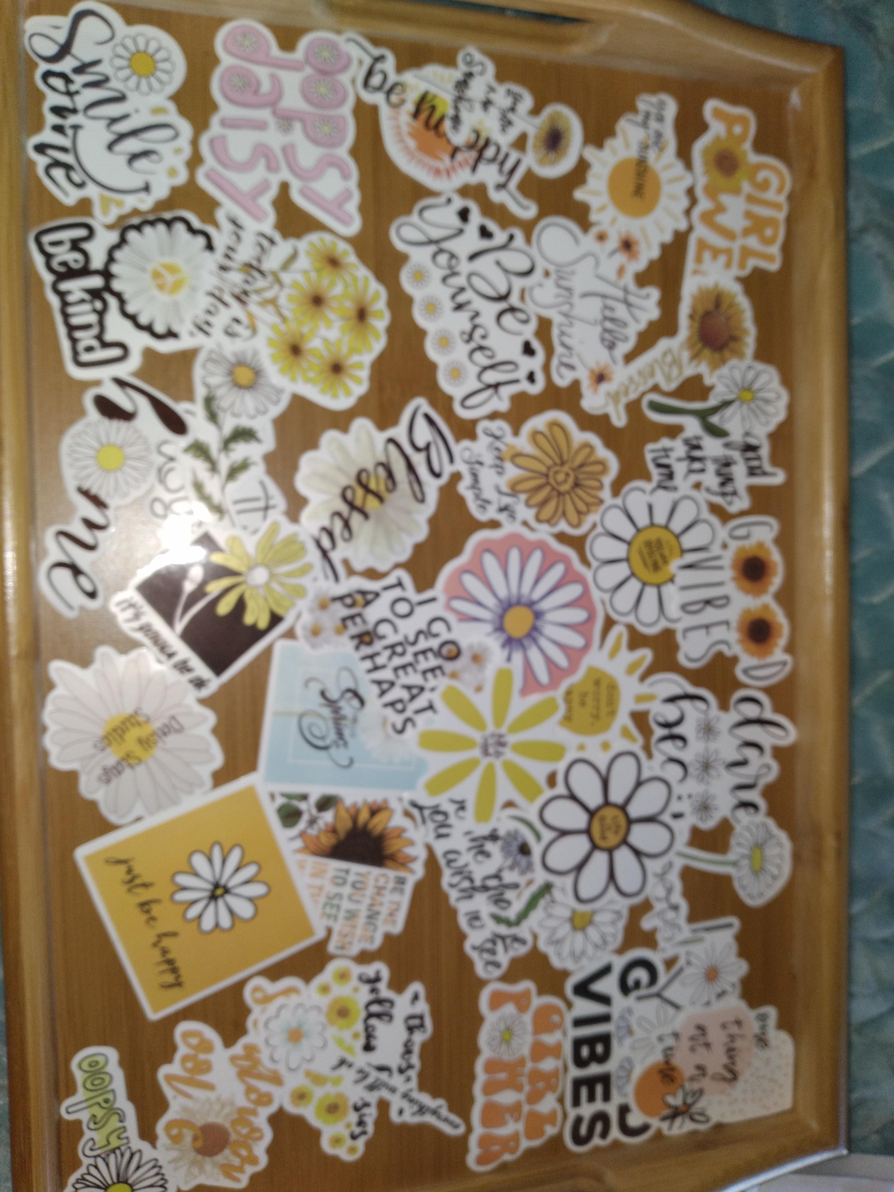 Amazon.com: 600pcs Stickers Bulk for Adults, Water Bottle Stickers for ...