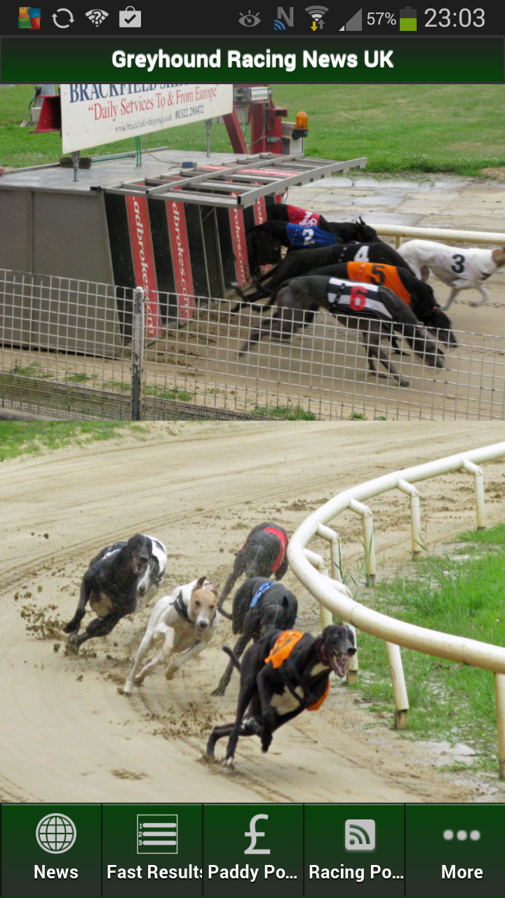 Greyhound Racing News UK - App on Amazon Appstore