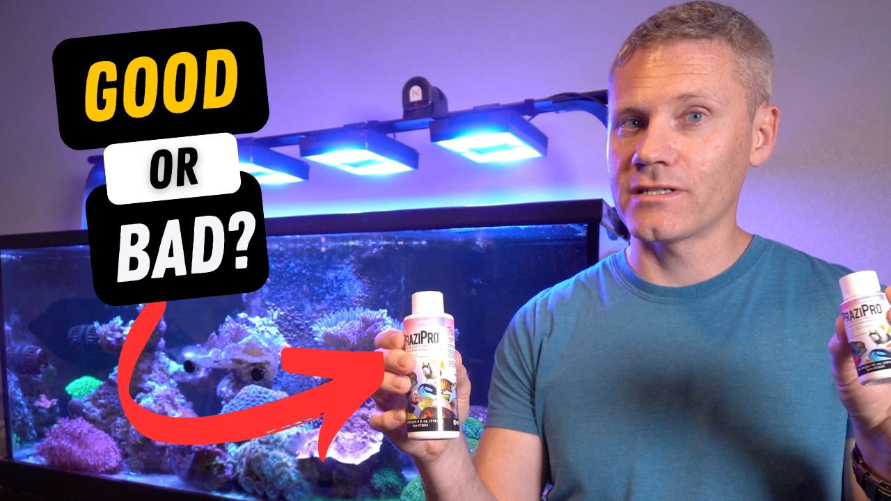 Watch My Thoughts About Prazipro on Amazon Live