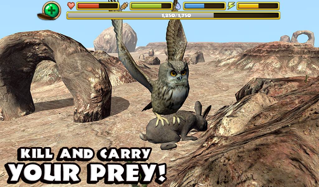 Owl Simulator - App on Amazon Appstore