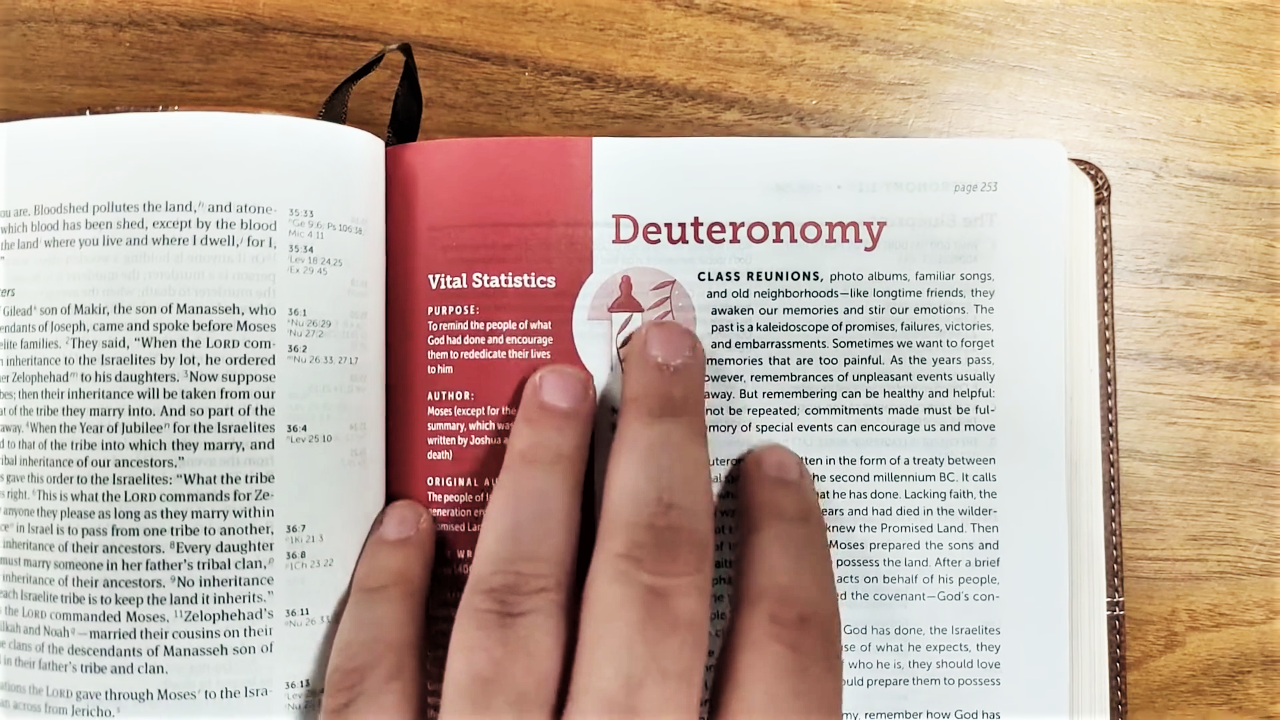 Watch A really great Bible! on Amazon Live