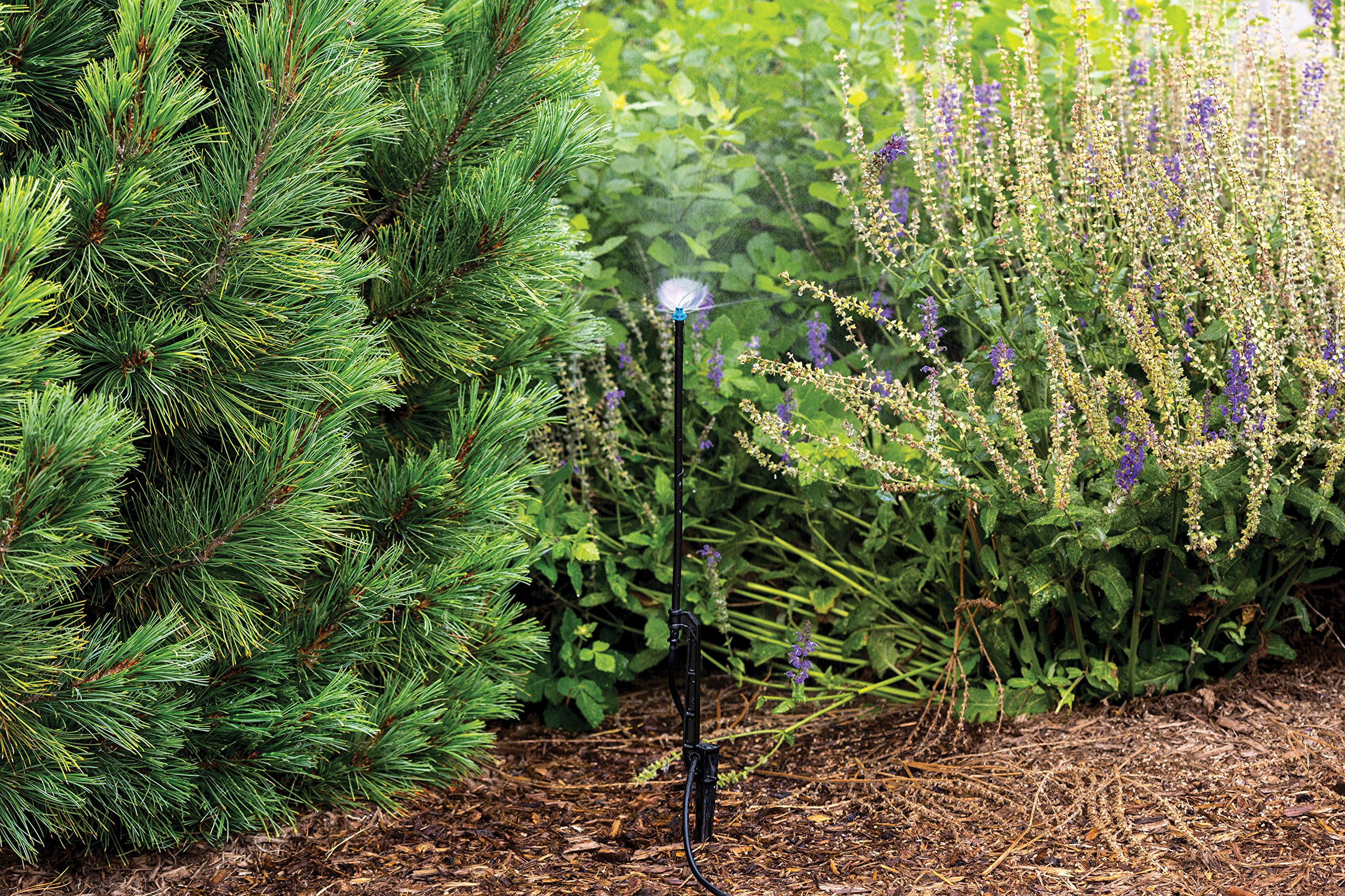 Snapklik.com : Rain Bird MSFHSTKX Drip Irrigation Close Coverage Fan ...