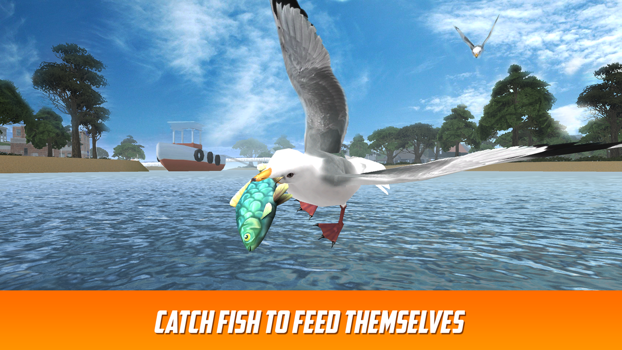 Seagull Simulator 3D: Sea Animal Games | Fly Bird Wild Bird Simulator ...