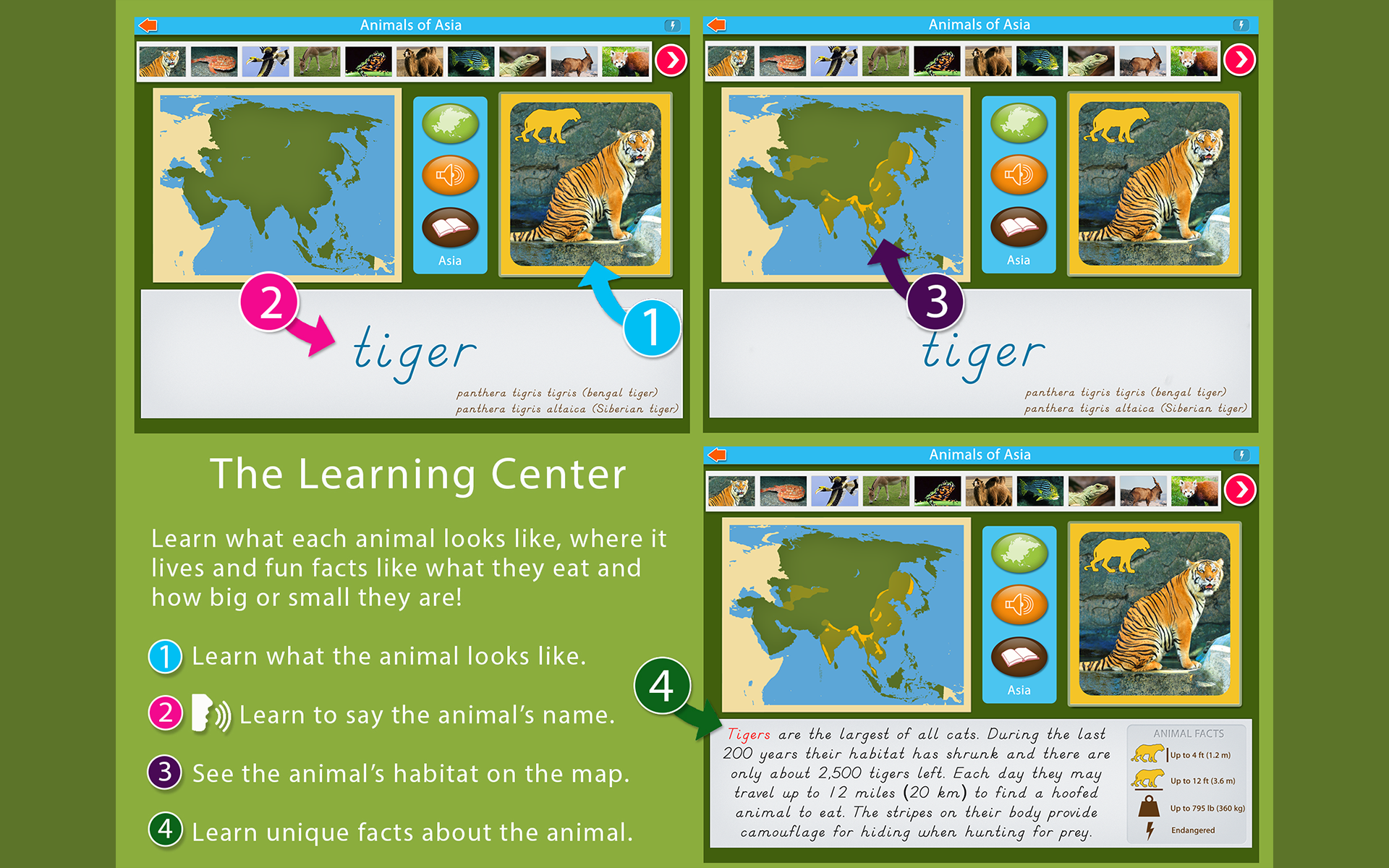 Montessori Geography - Animals of Asia - App on Amazon Appstore