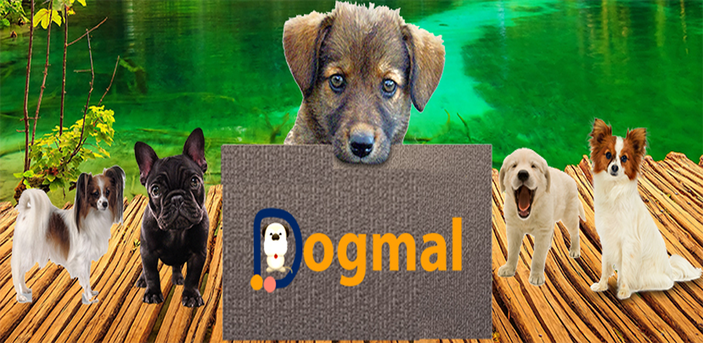 Dogmal - App on Amazon Appstore