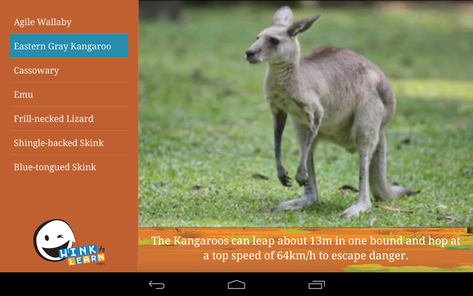 Australian Wildlife - App on Amazon Appstore