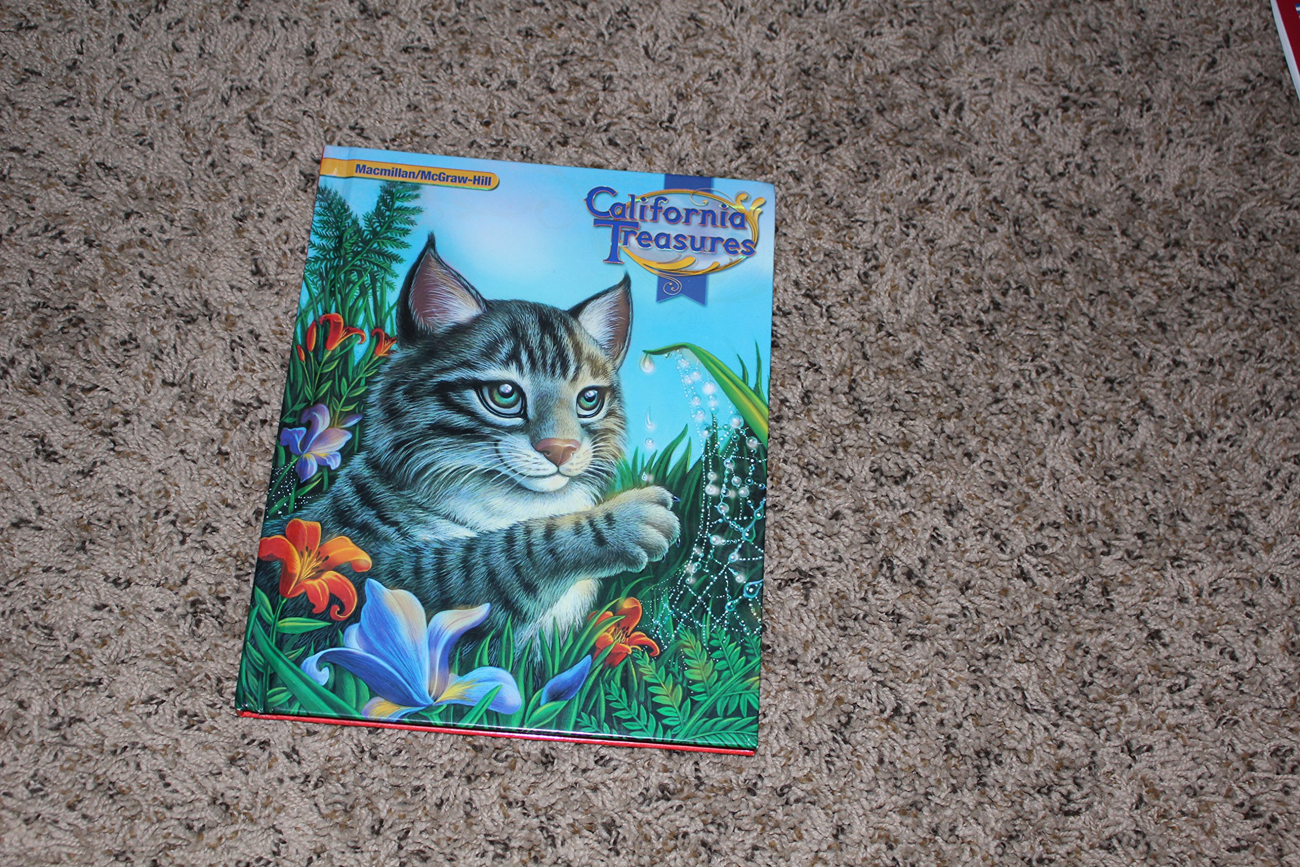 California Treasures - A Reading/Language Arts Program Unit 2 ...