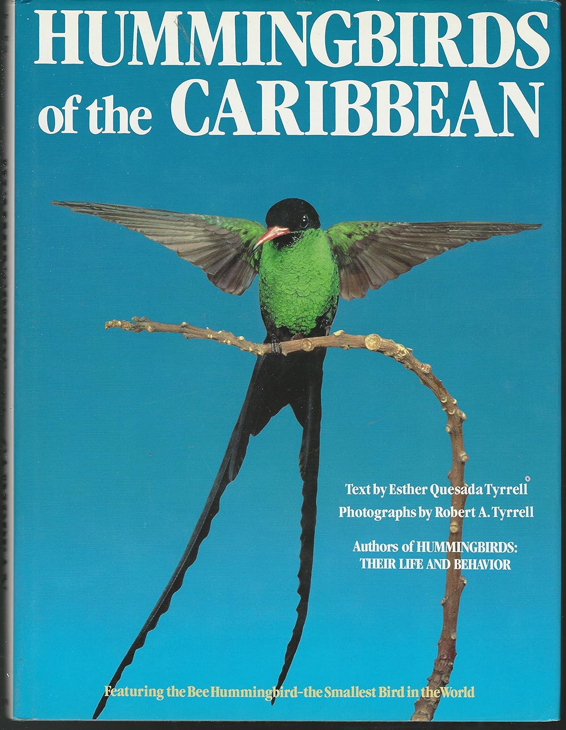Hummingbirds Of The Caribbean: Tyrrell, Esther Quesada: 9780517573686 ...