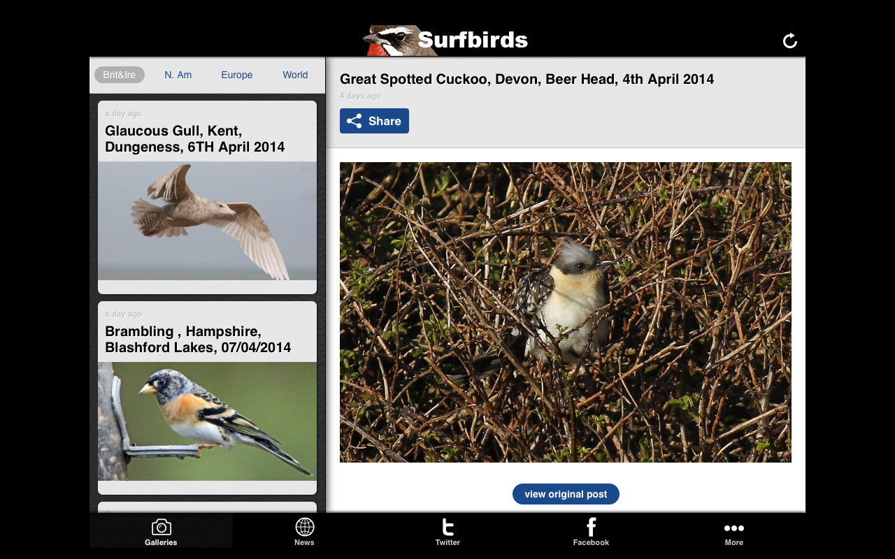 Surfbirds - App on Amazon Appstore