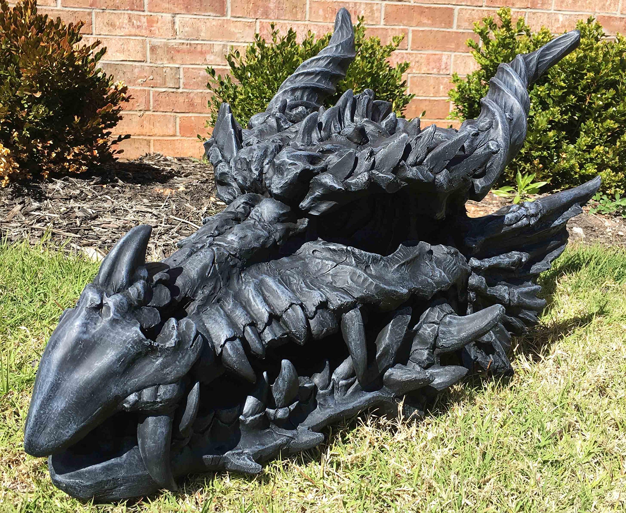 Amazon.com: Large Dragon Skull Resin and Hand Painted Statue : Home ...