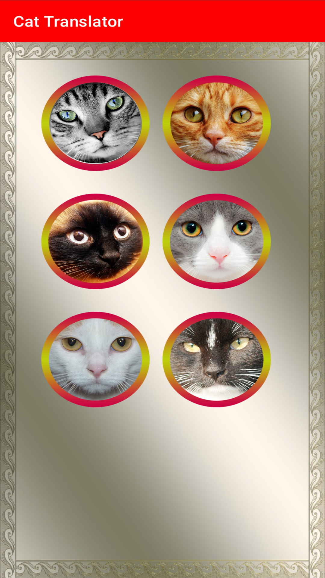 Translator for Cats - Cat Translator - App on Amazon Appstore