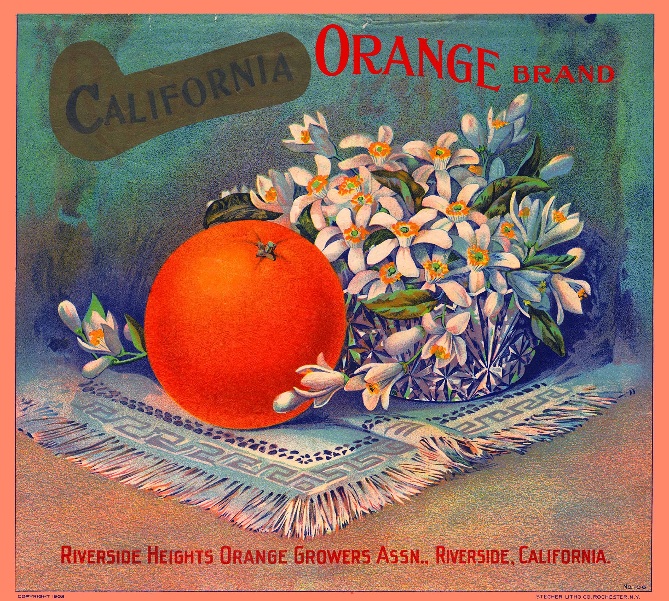 Amazon.com: A SLICE IN TIME Riverside California Orange Brand Citrus ...