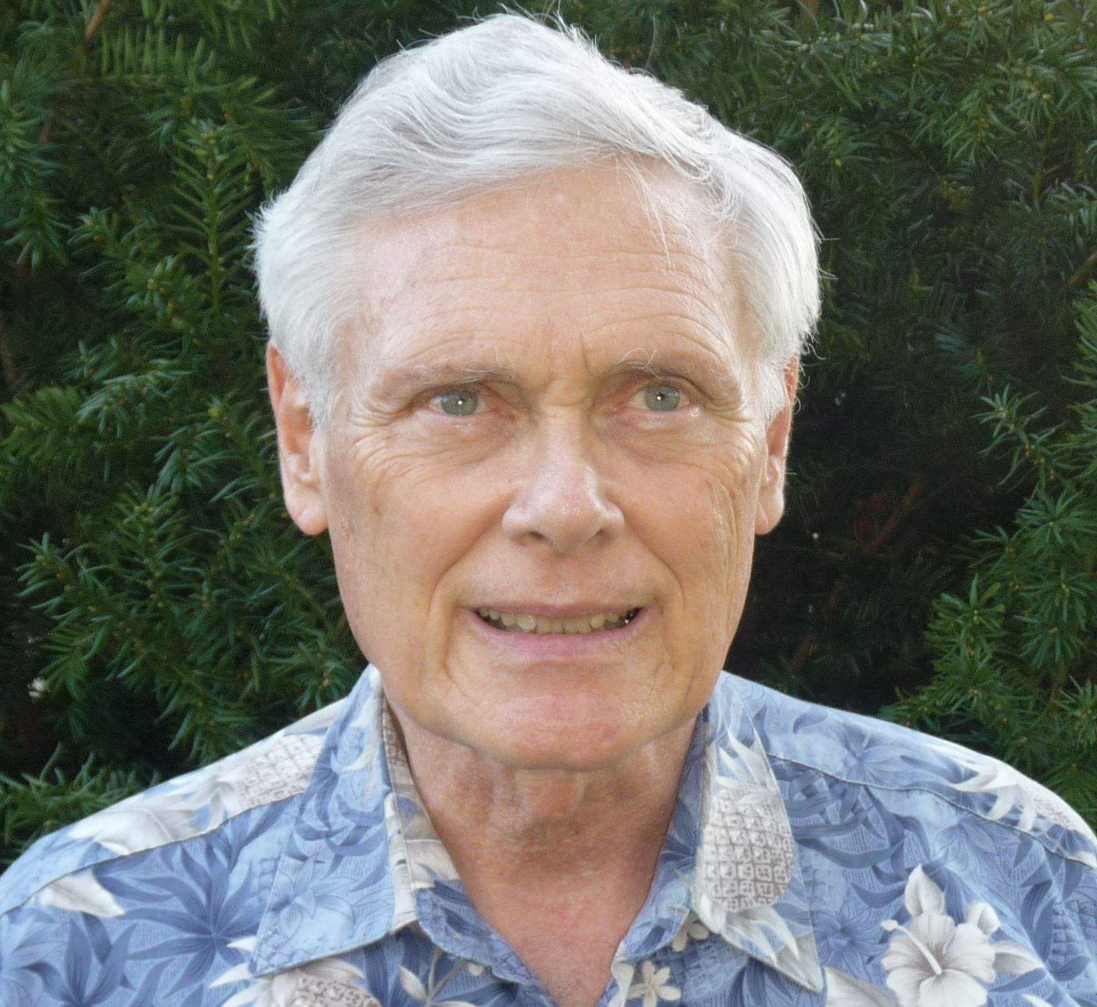 Amazon.com: Lynn Clark: books, biography, latest update